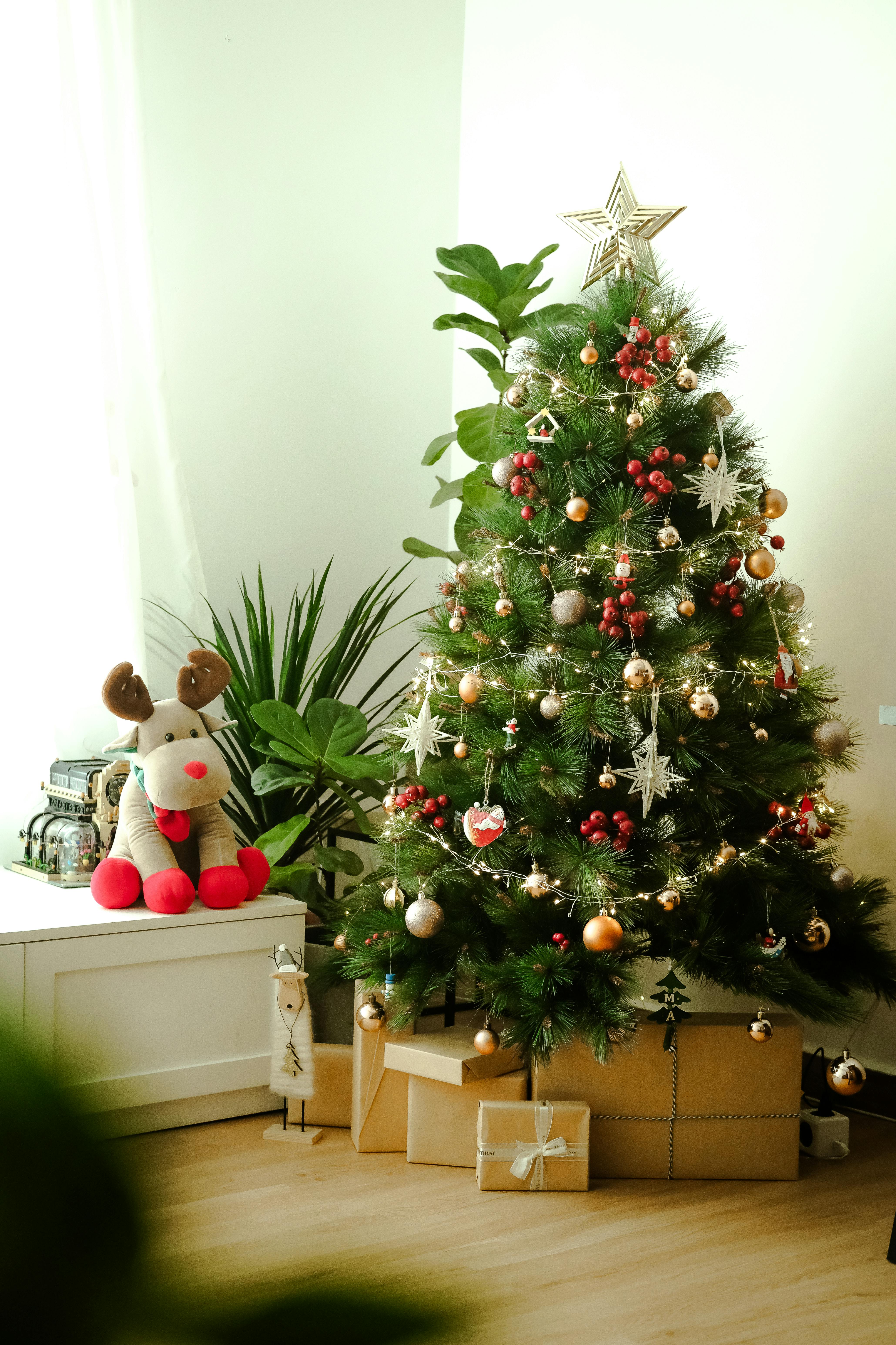 Boxes under Christmas Tree in Room Corner · Free Stock Photo