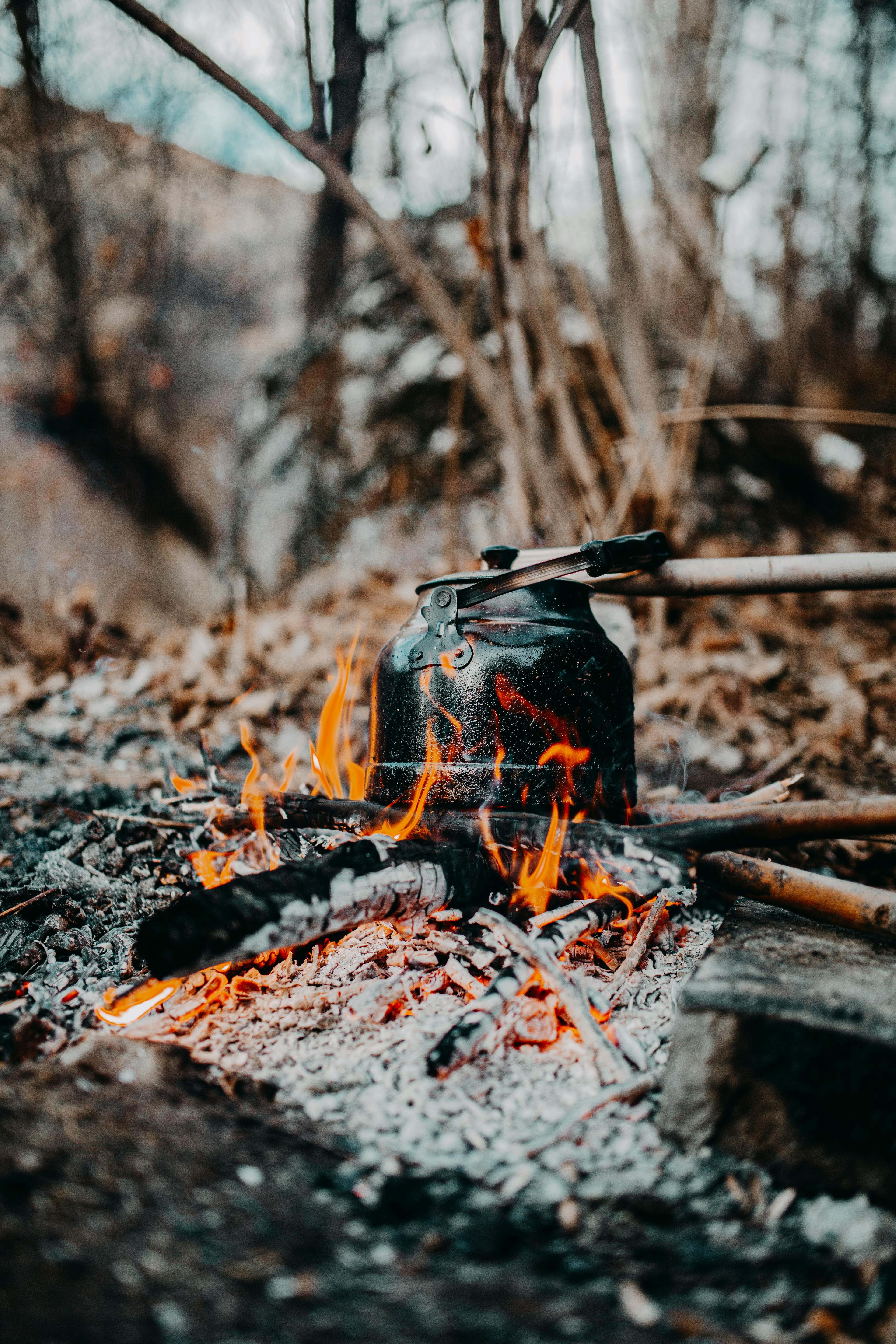 Close-up of Cauldron Boiling on Campfire · Free Stock Photo