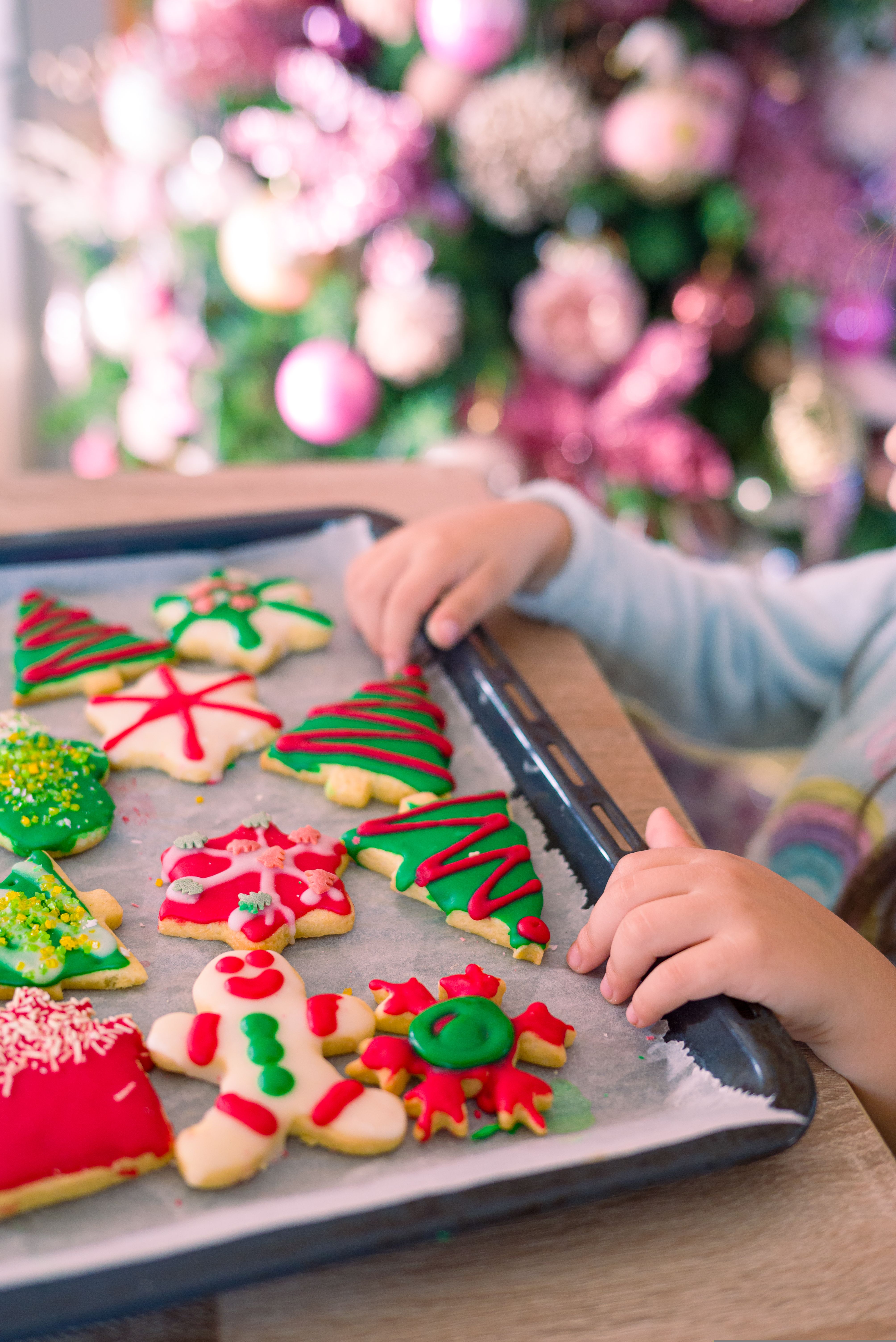 Christmas Hands Photos, Download The BEST Free Christmas Hands Stock ...