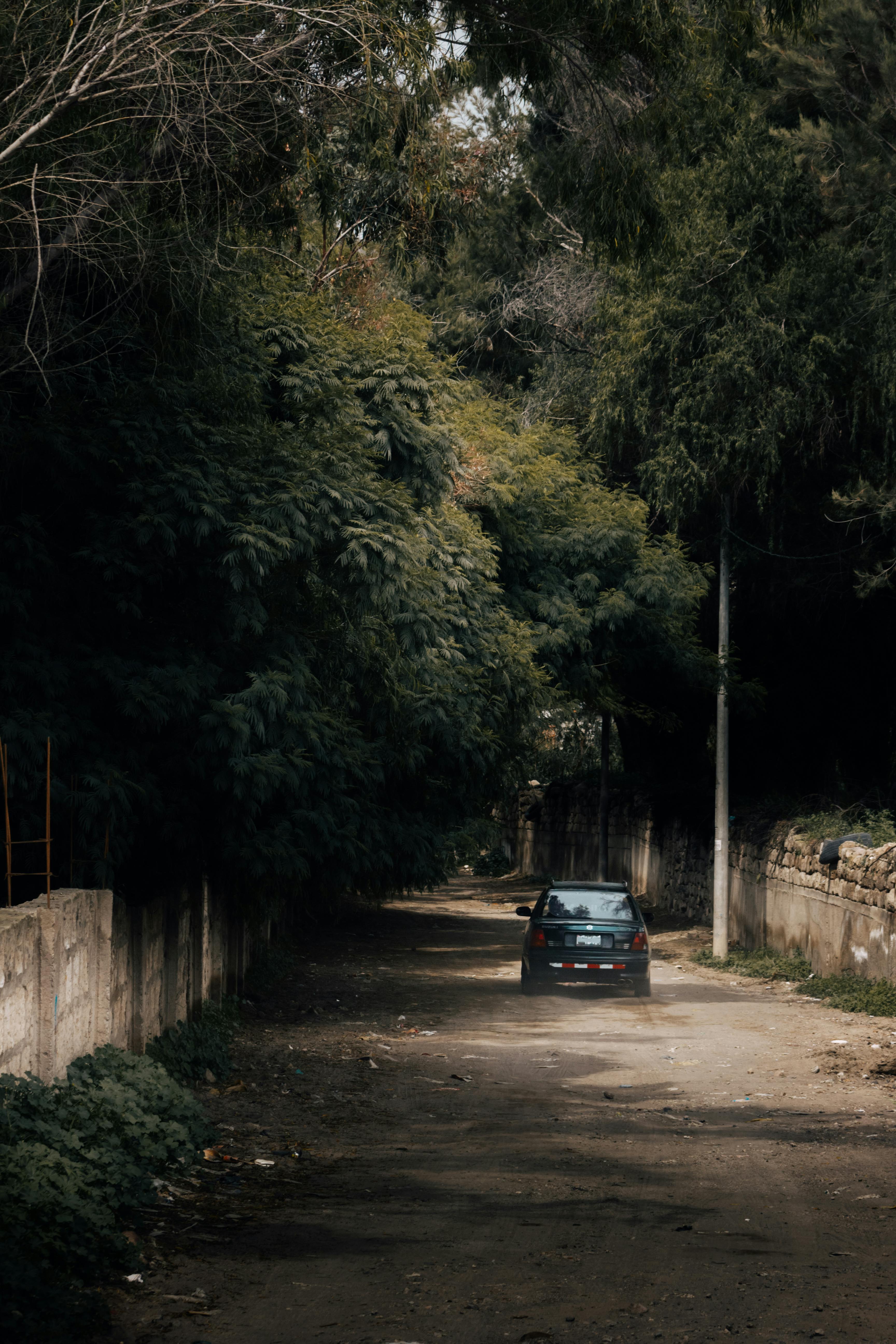 In Car Photos, Download The BEST Free In Car Stock Photos & HD Images