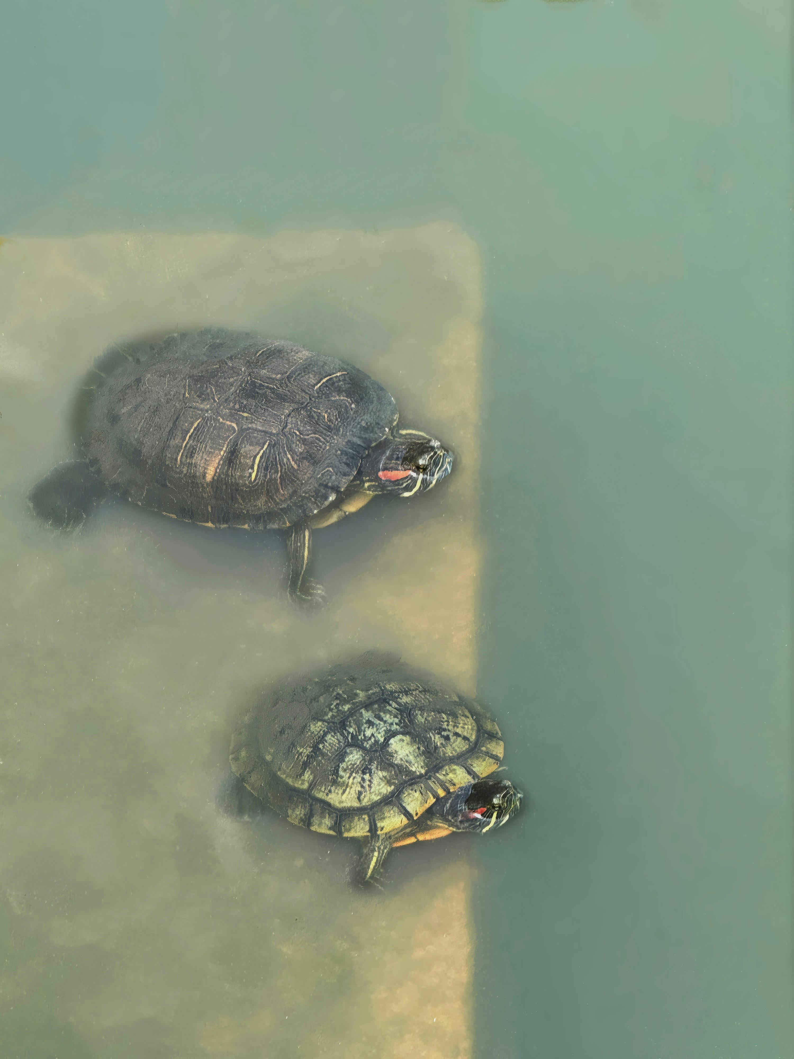 Vicinity Photos, Download The BEST Free Vicinity Stock Photos & HD Images