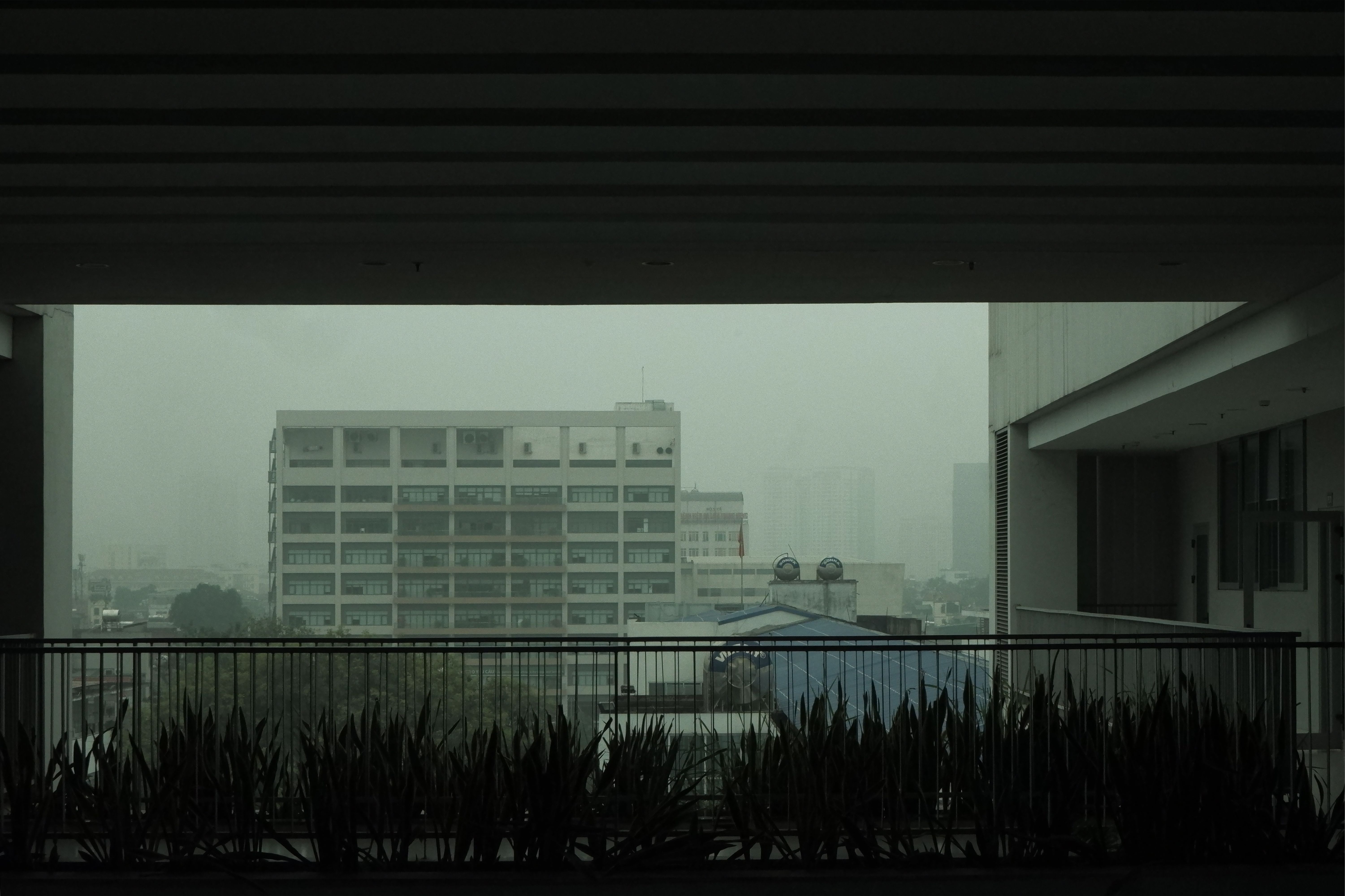 City Building on Foggy Day · Free Stock Photo