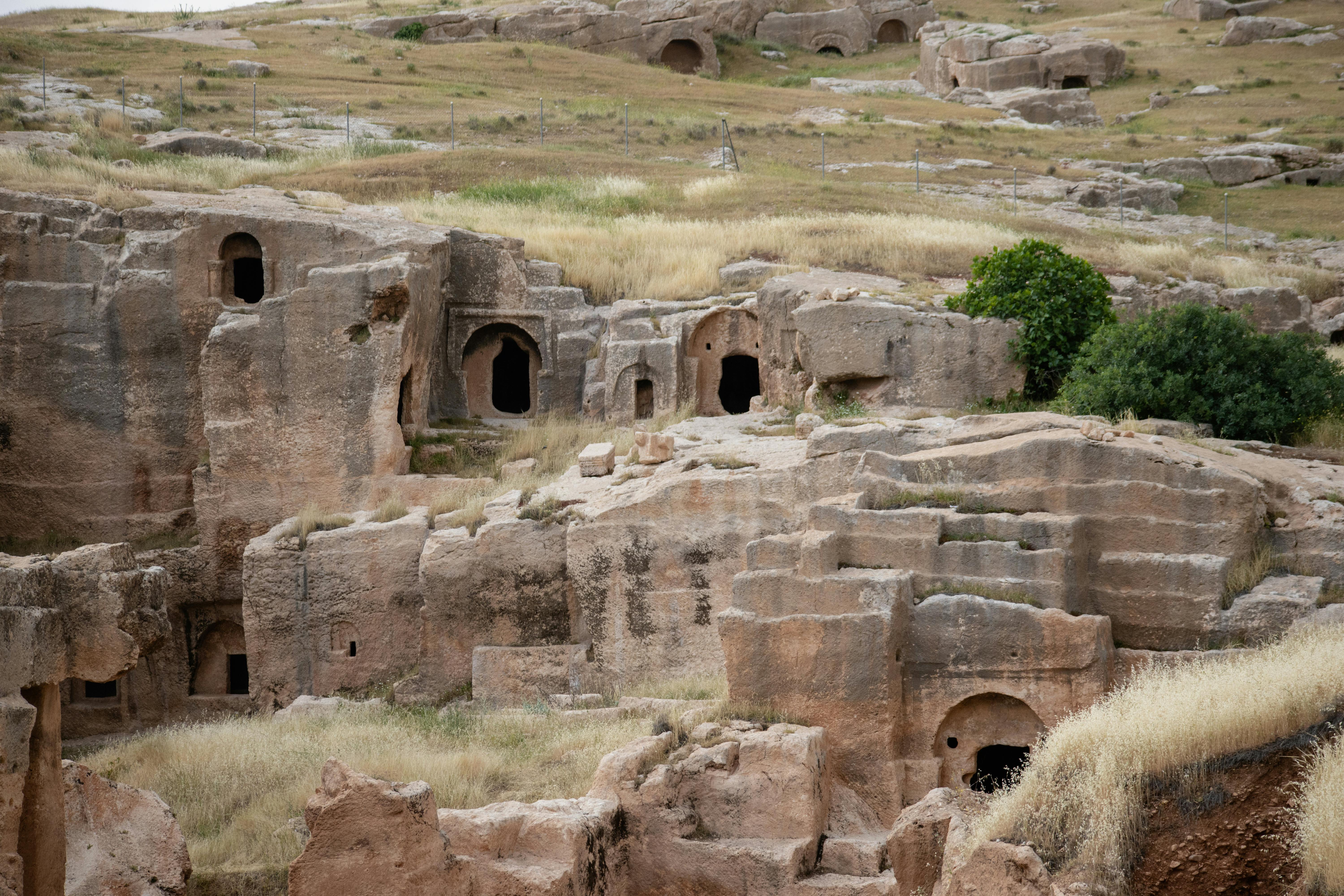 Batman Turkey Photos, Download The BEST Free Batman Turkey Stock Photos ...