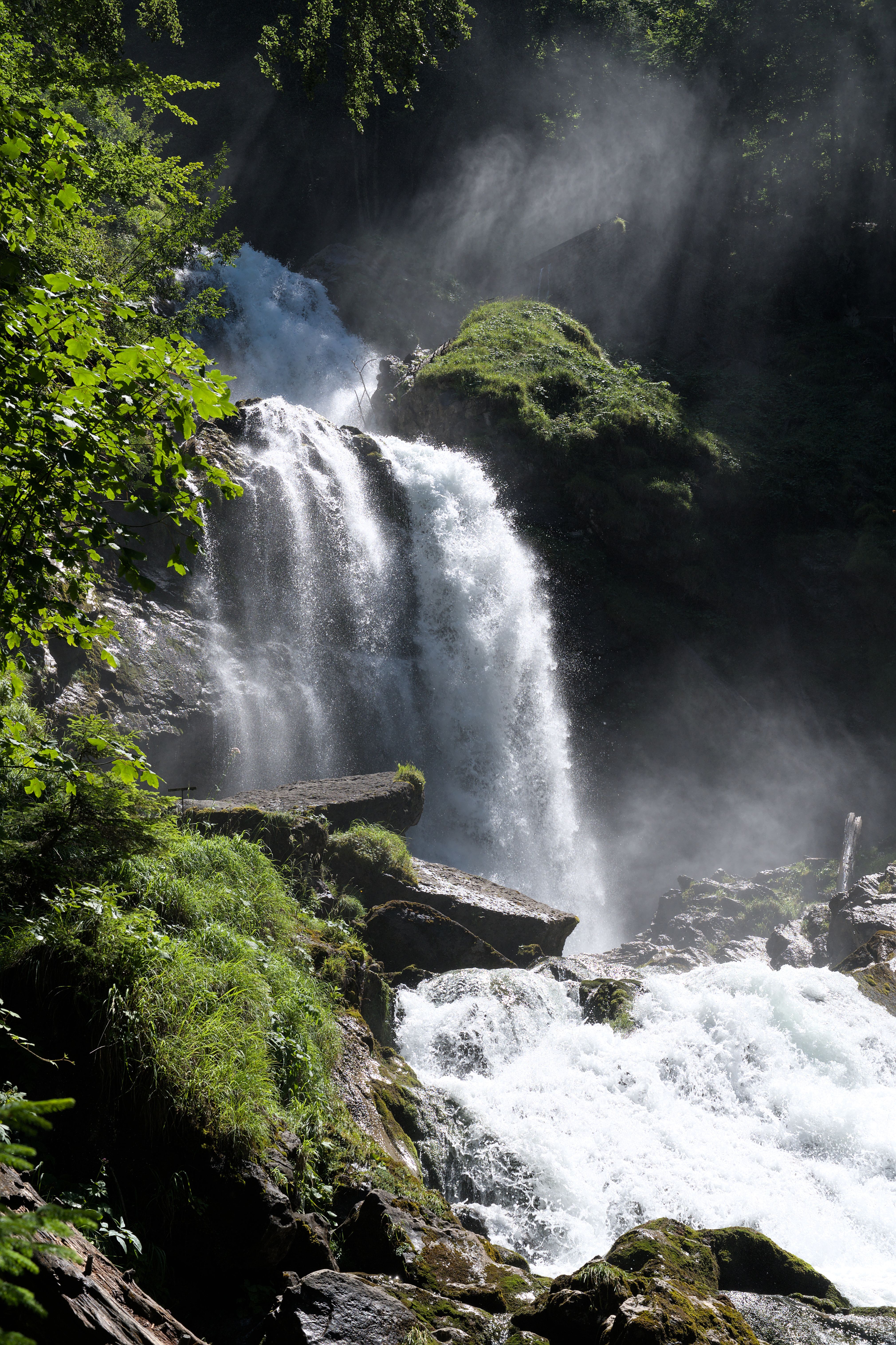 Waterfall in a Forest · Free Stock Photo