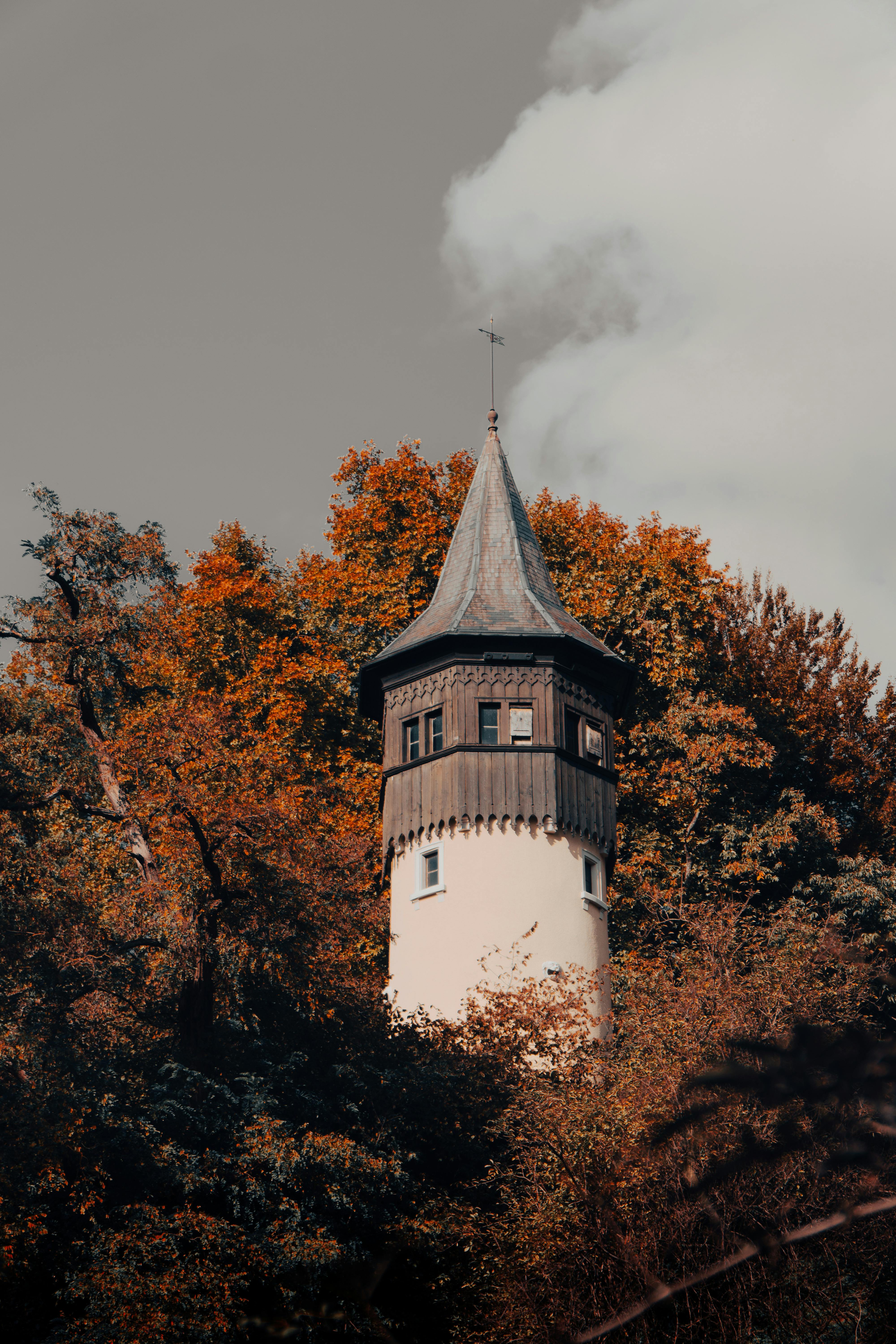 Tower in Forest · Free Stock Photo