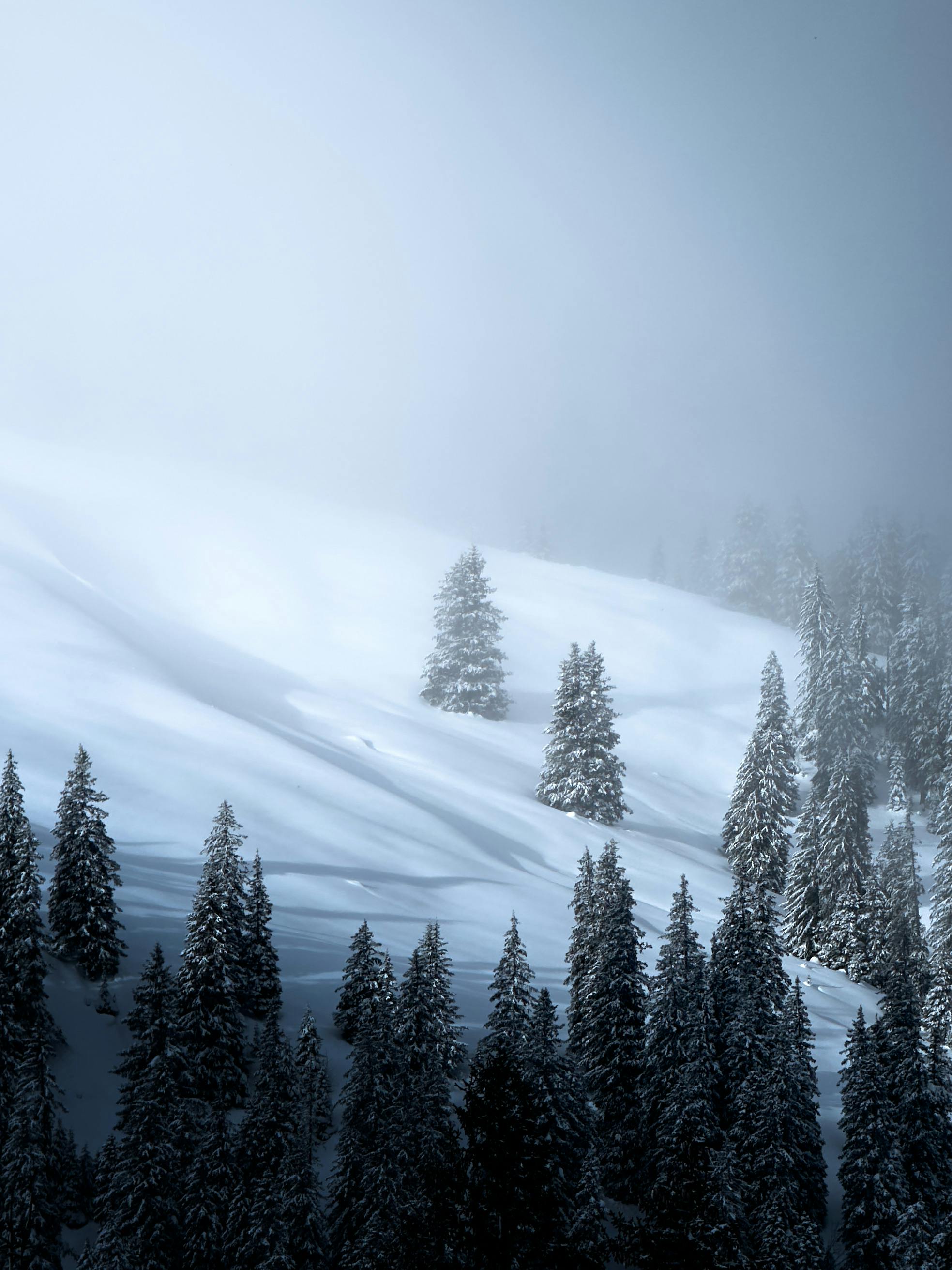 Snow Storm over Slope · Free Stock Photo