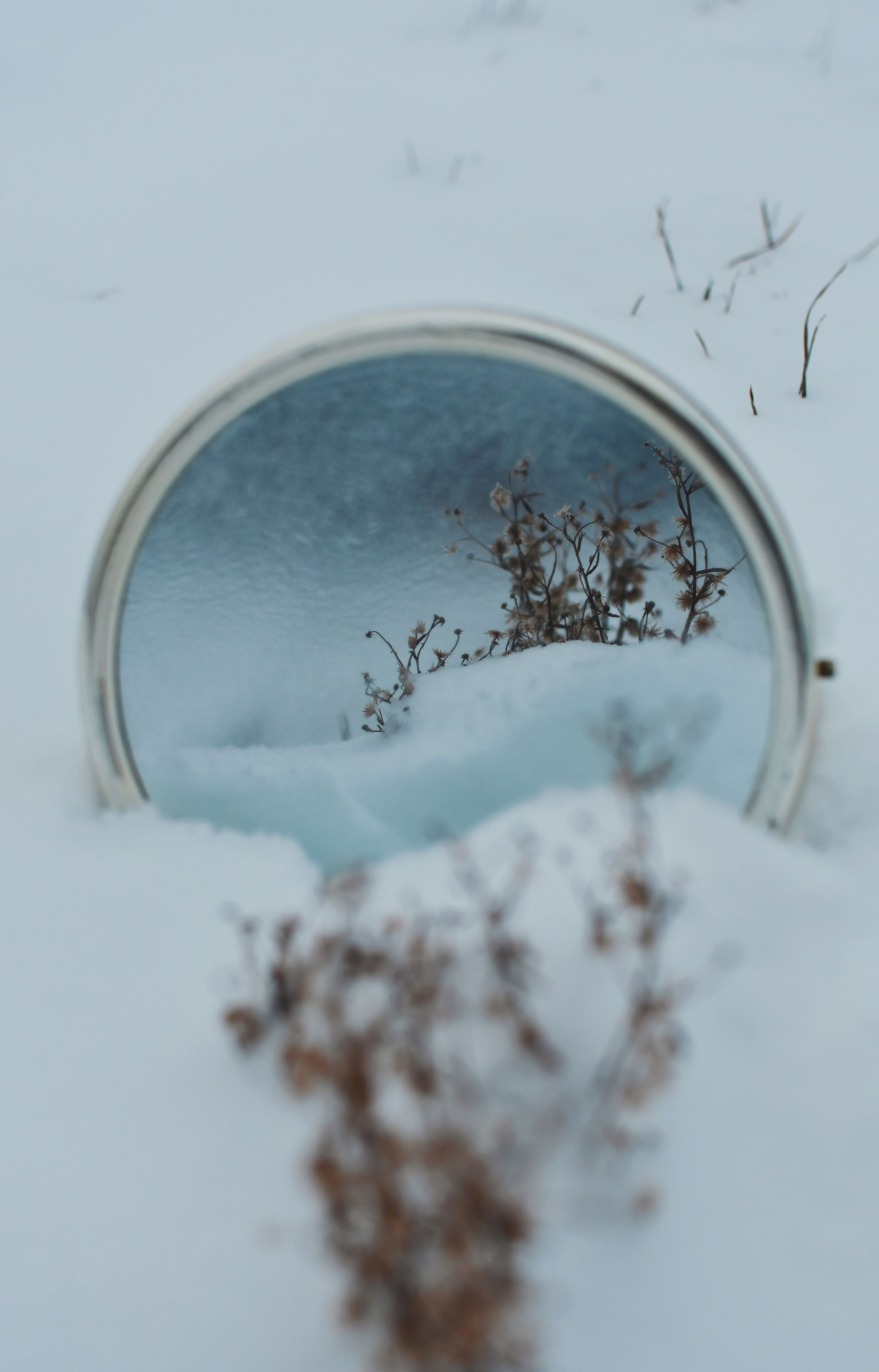 Mirror Lying Down in Snow · Free Stock Photo