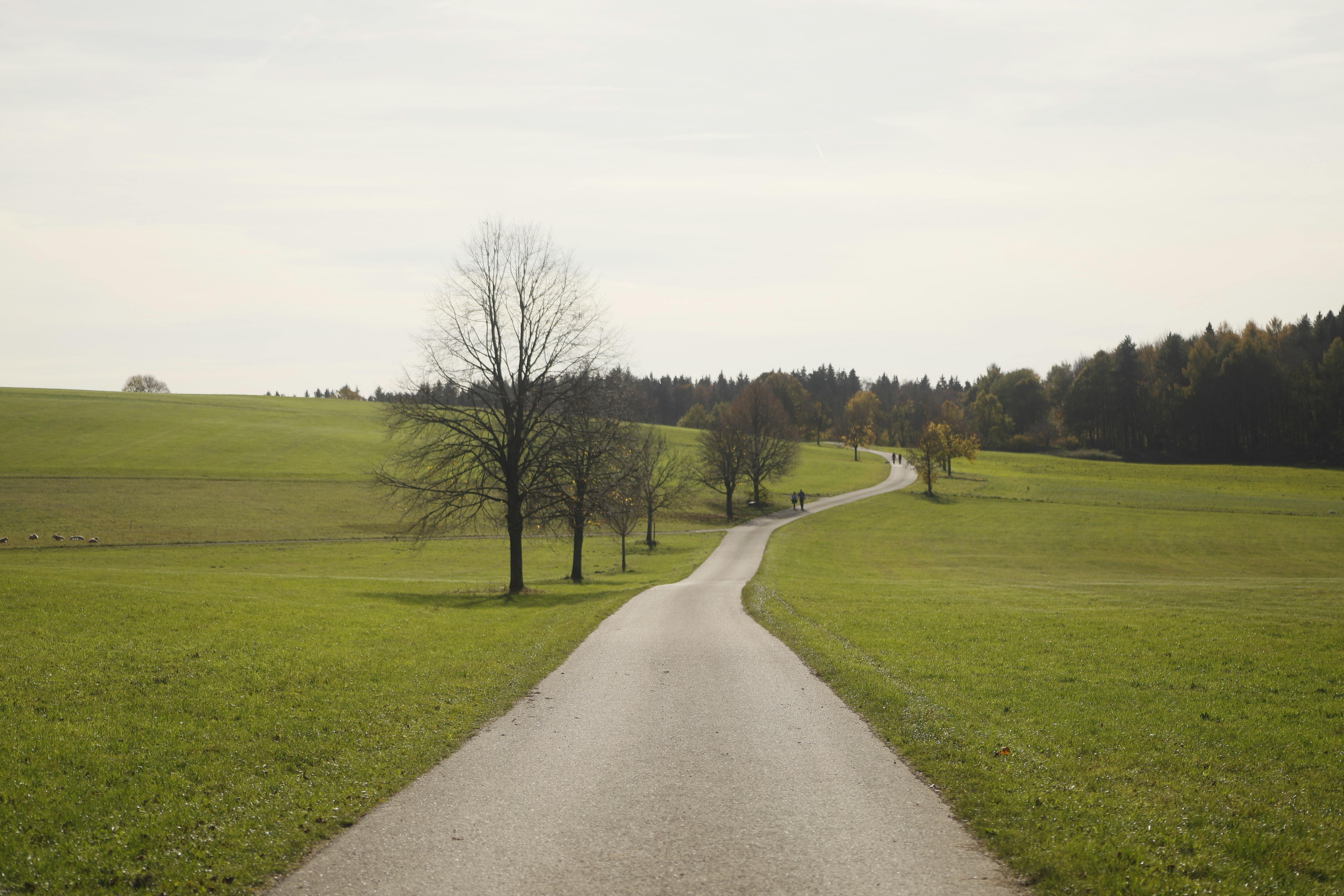View of a Road through a Countryside · Free Stock Photo