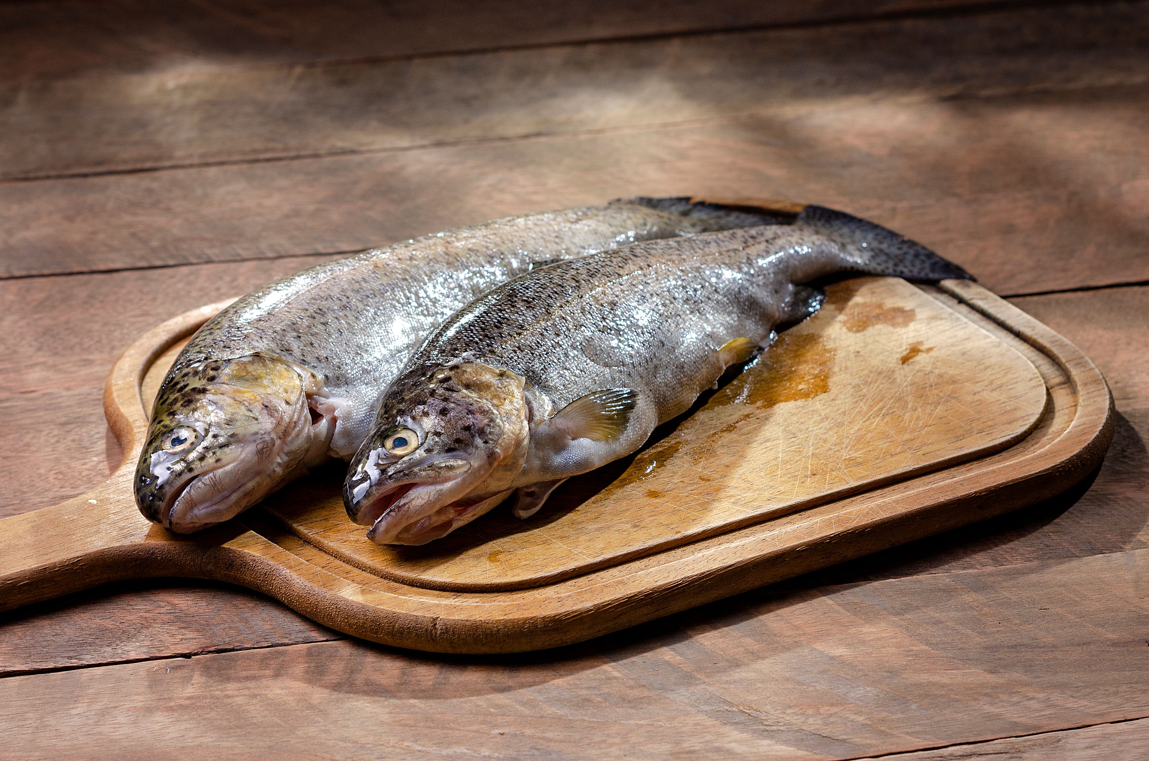 Piquant Dressing Photos, Download The BEST Free Piquant Dressing Stock ...