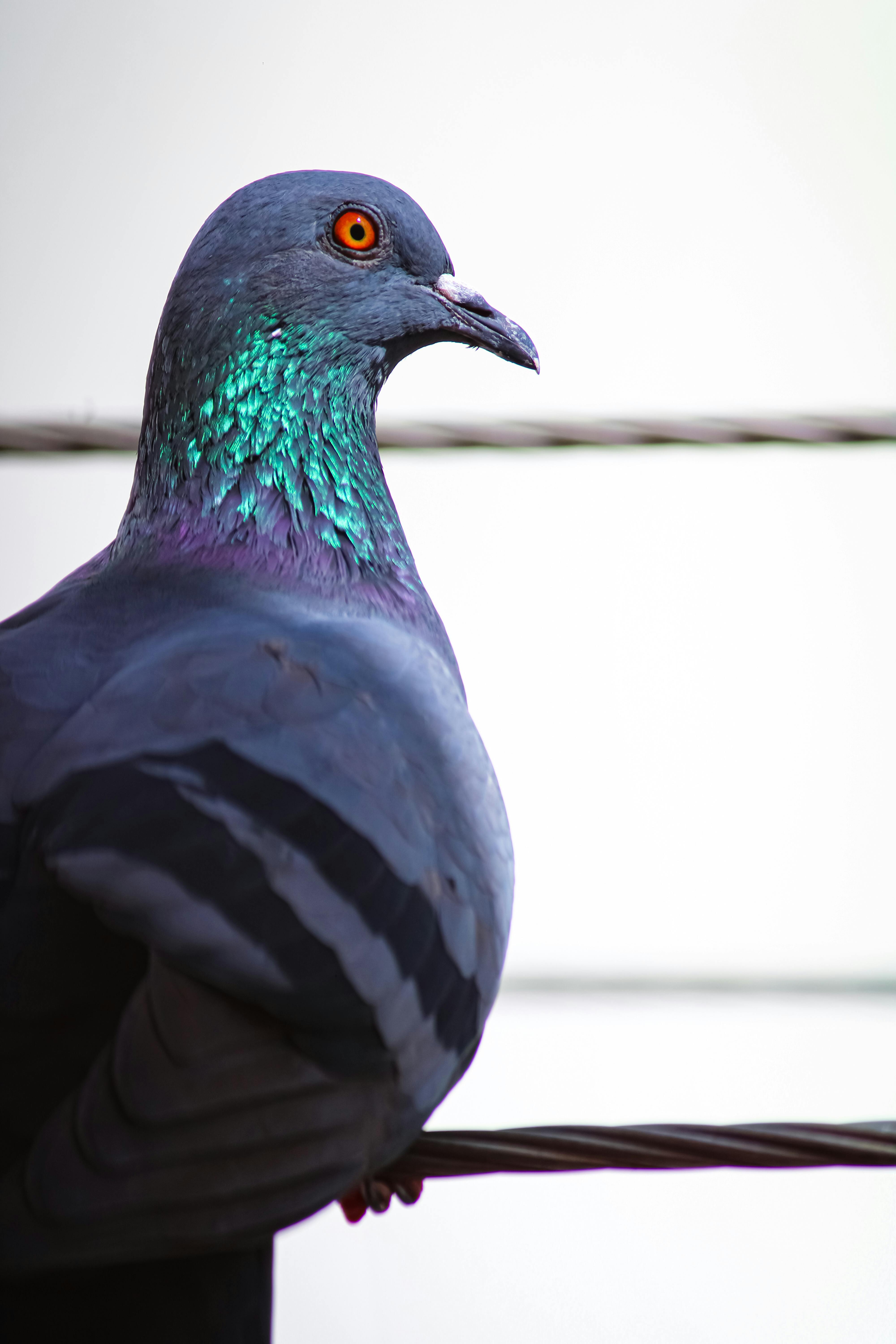 Mathan Kumar - 写真