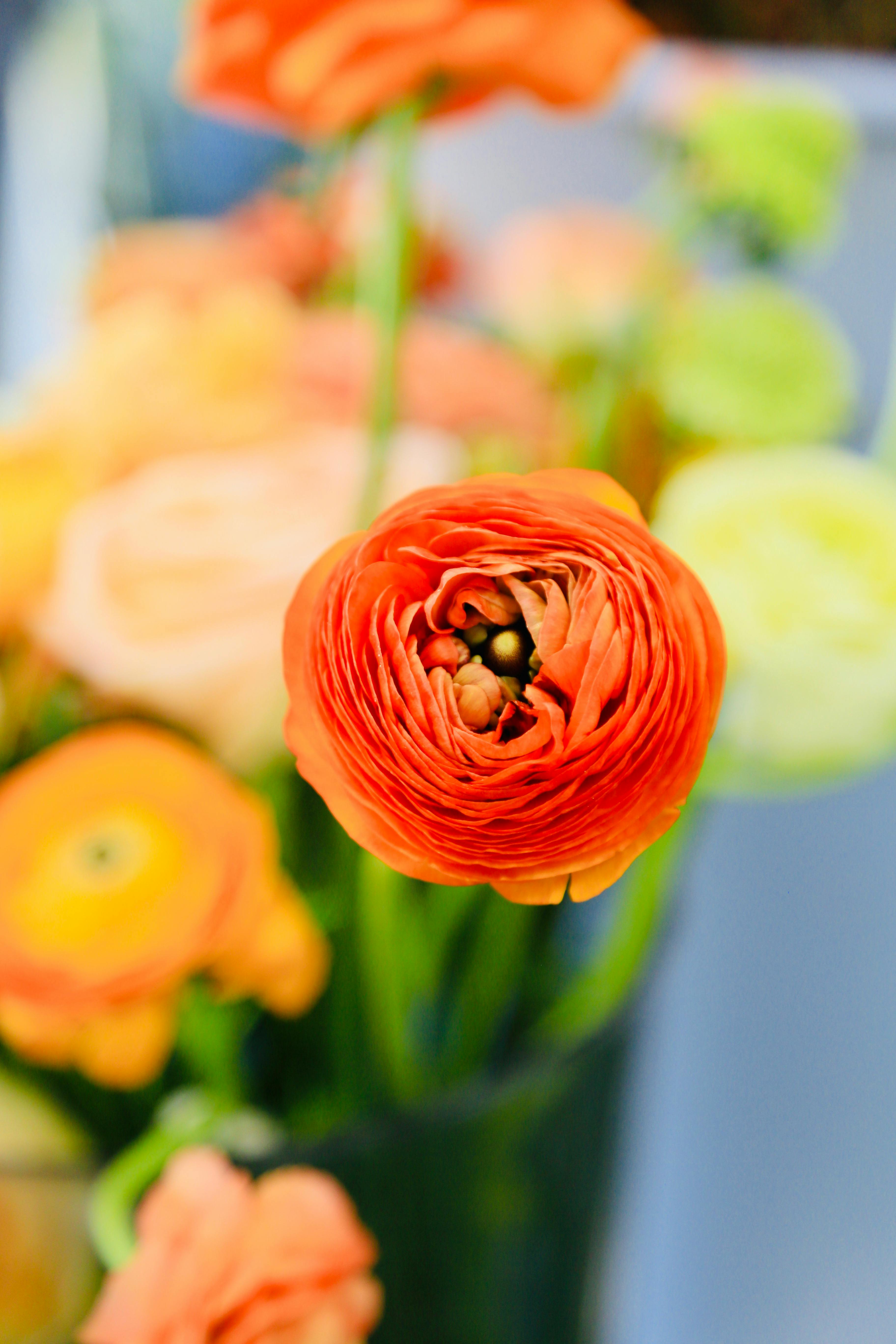 Andy Lee - Photography