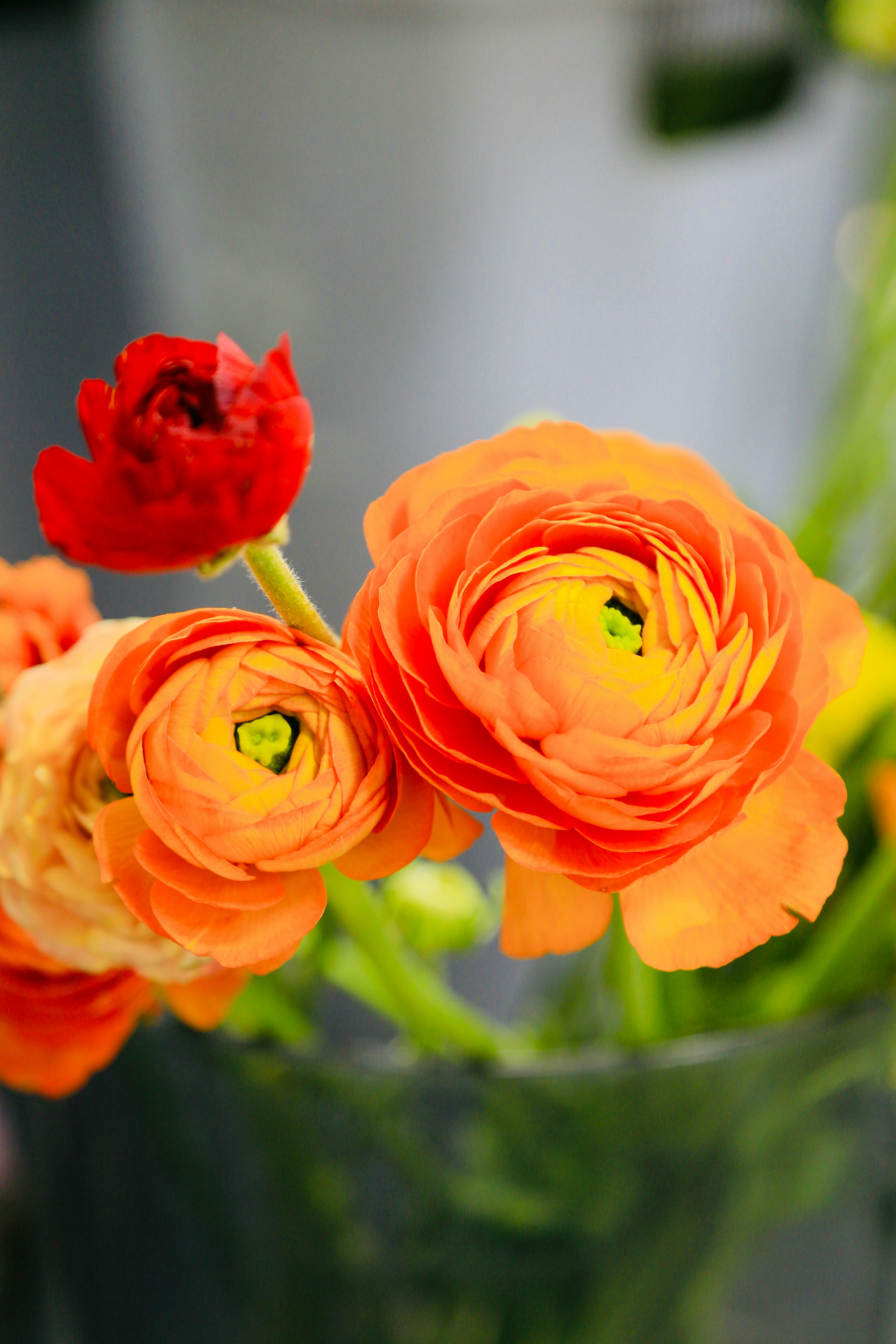 Andy Lee - Photography