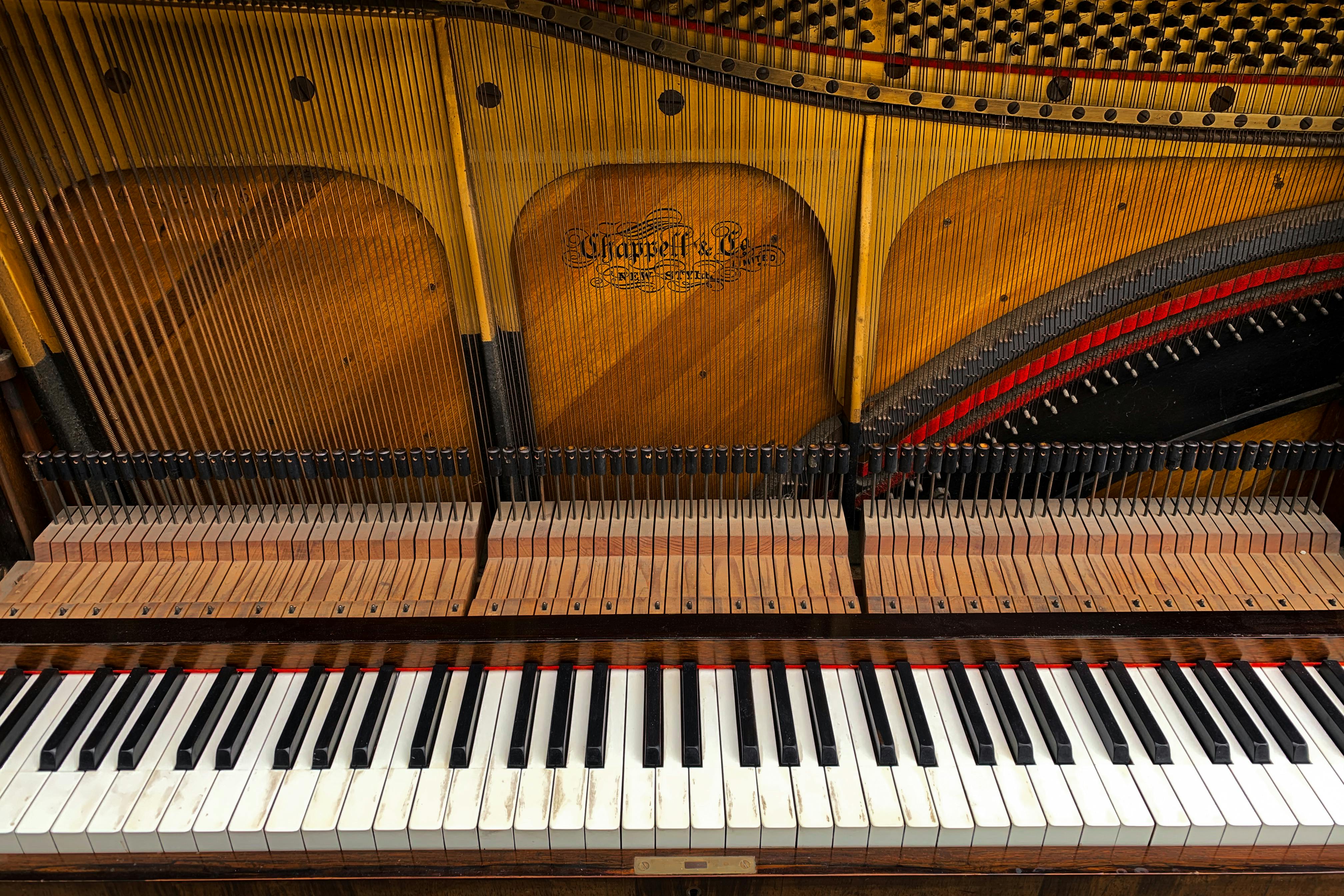 View of the Keys and the Inside of a Grand Piano · Free Stock Photo