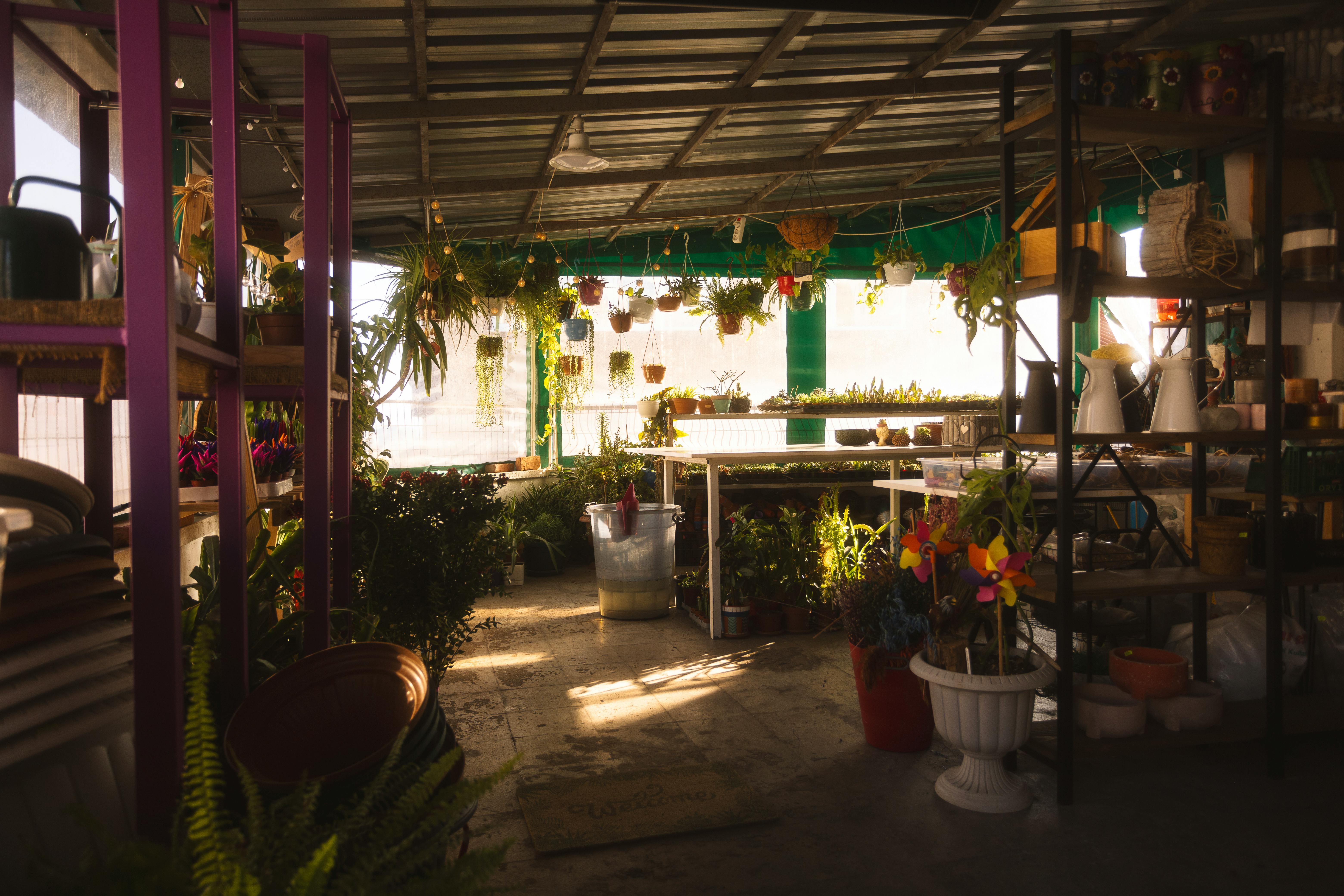 Interior of a Plant Store · Free Stock Photo