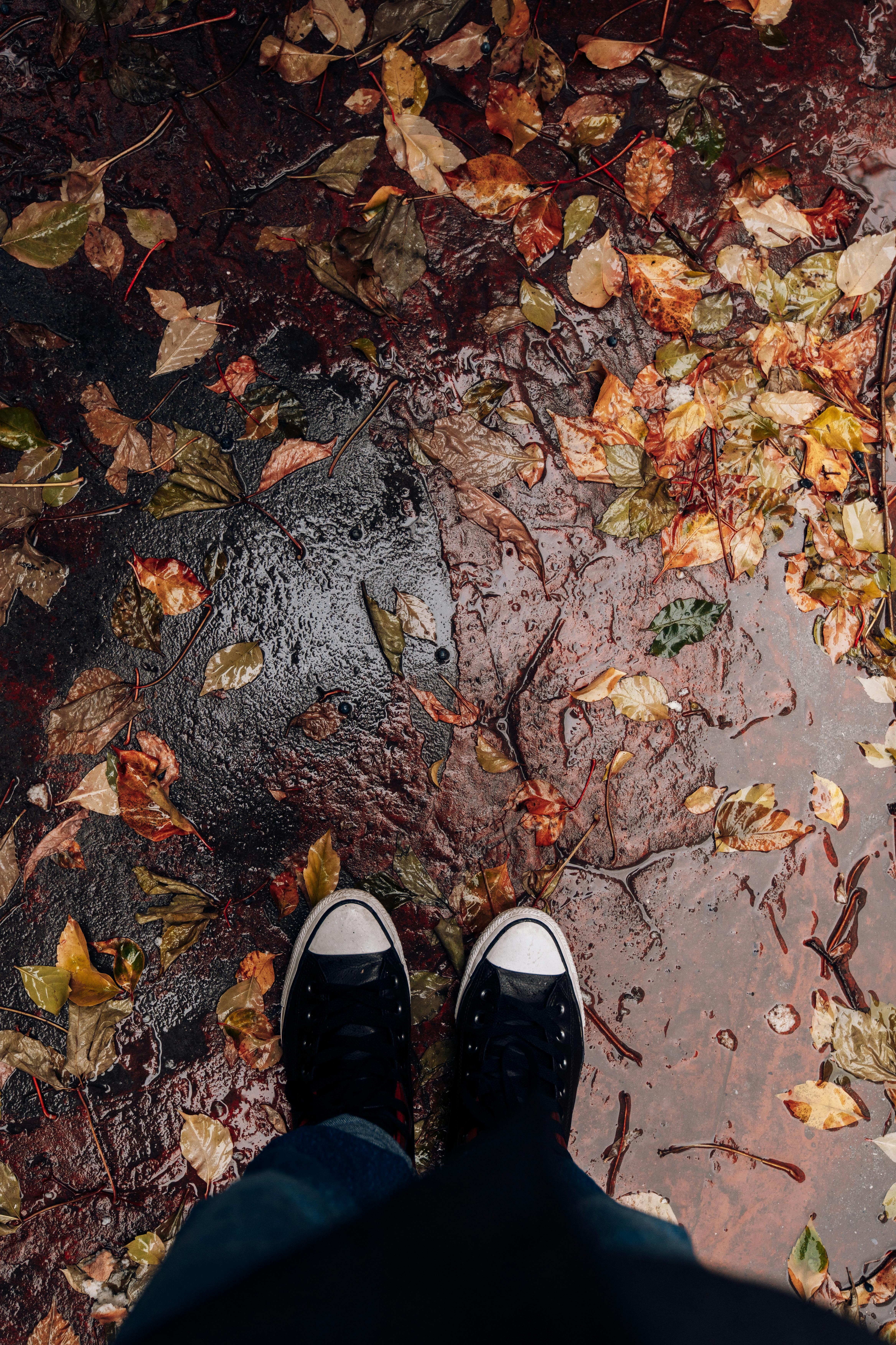 Welcome Trainers Photos, Download The BEST Free Welcome Trainers Stock ...