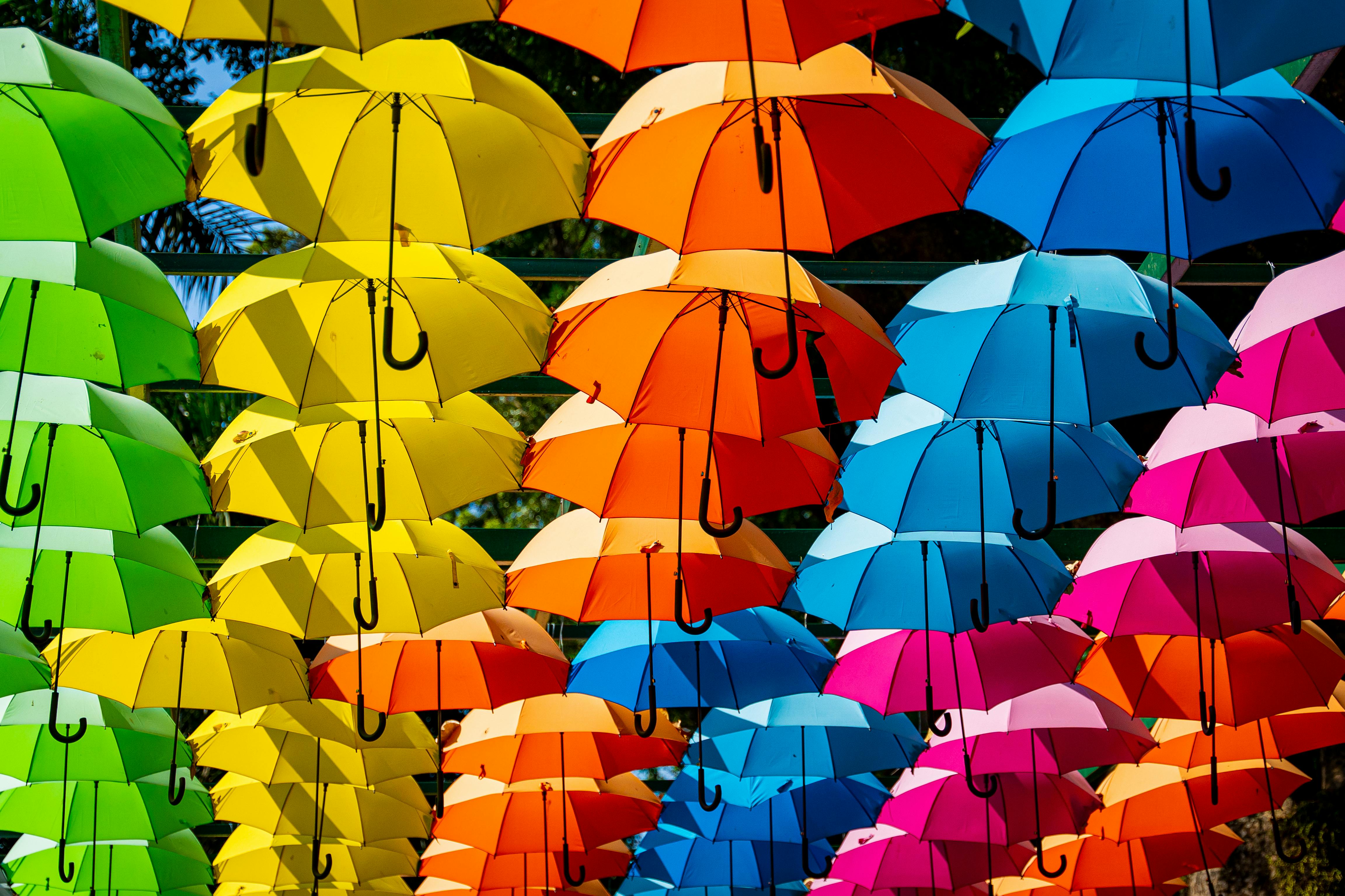 Assorted-colors Umbrella · Free Stock Photo