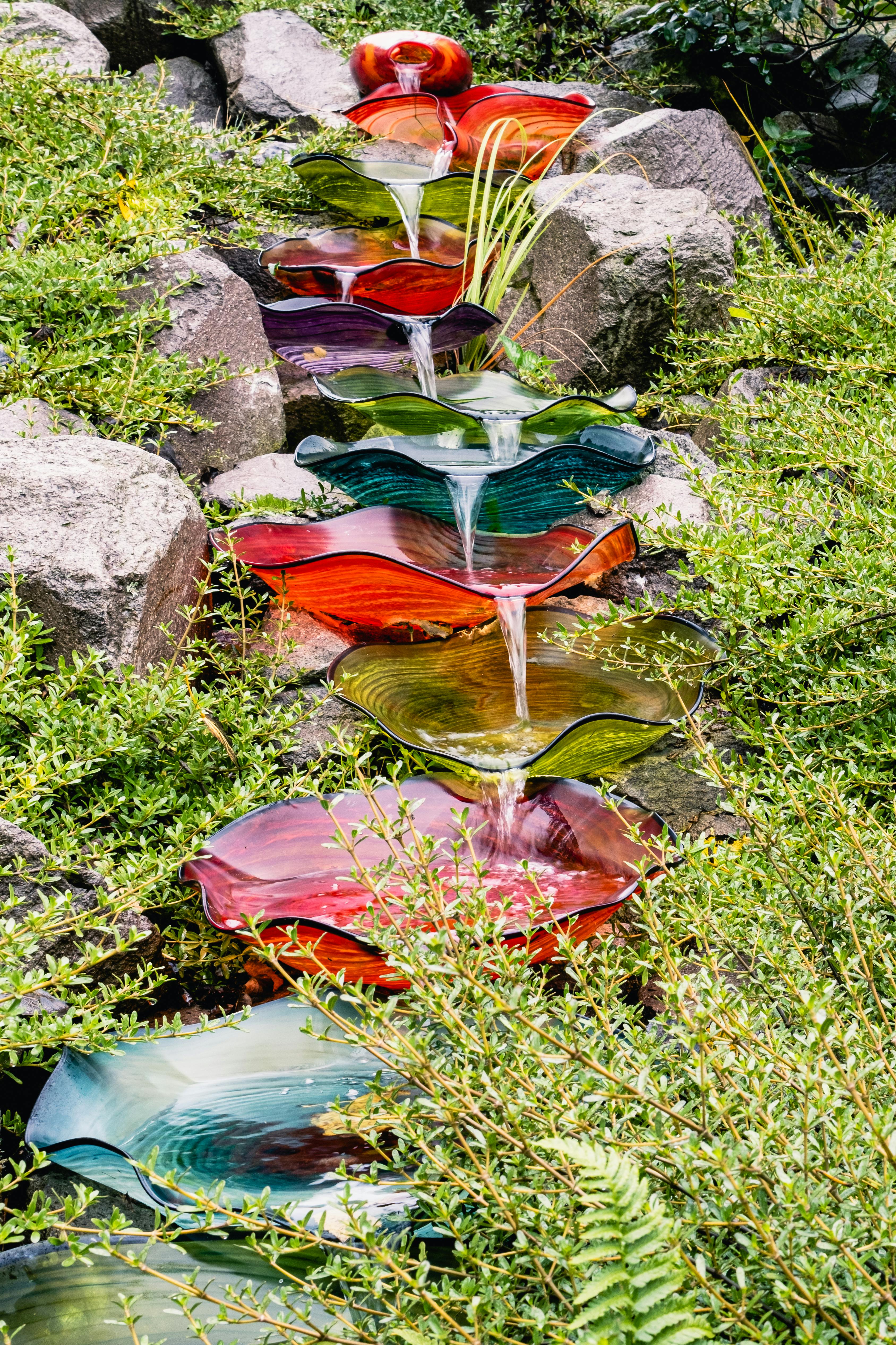 Zen Cera Photos, Download The BEST Free Zen Cera Stock Photos & HD Images