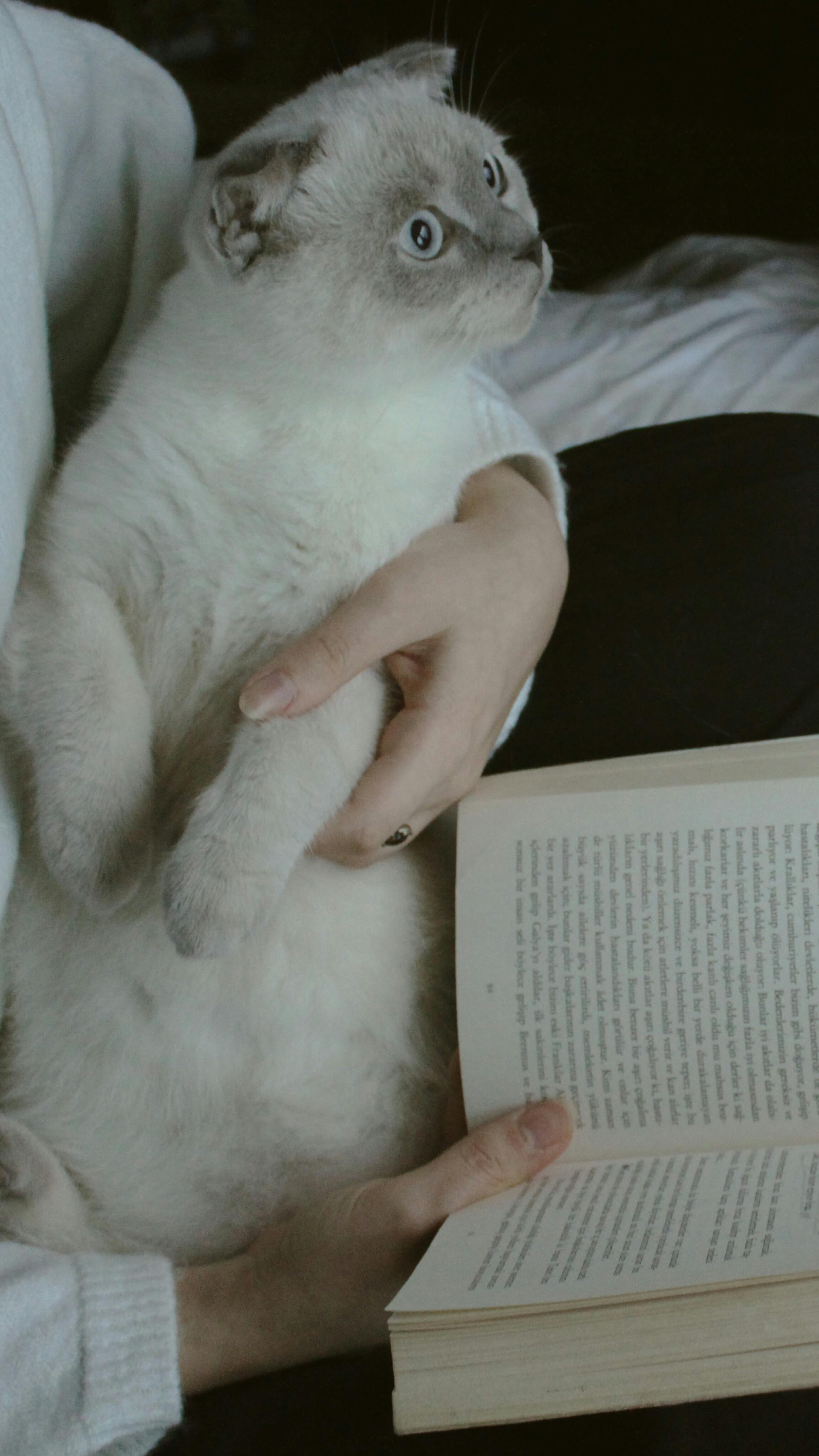 Line Pages Photos, Download The BEST Free Line Pages Stock Photos & HD ...