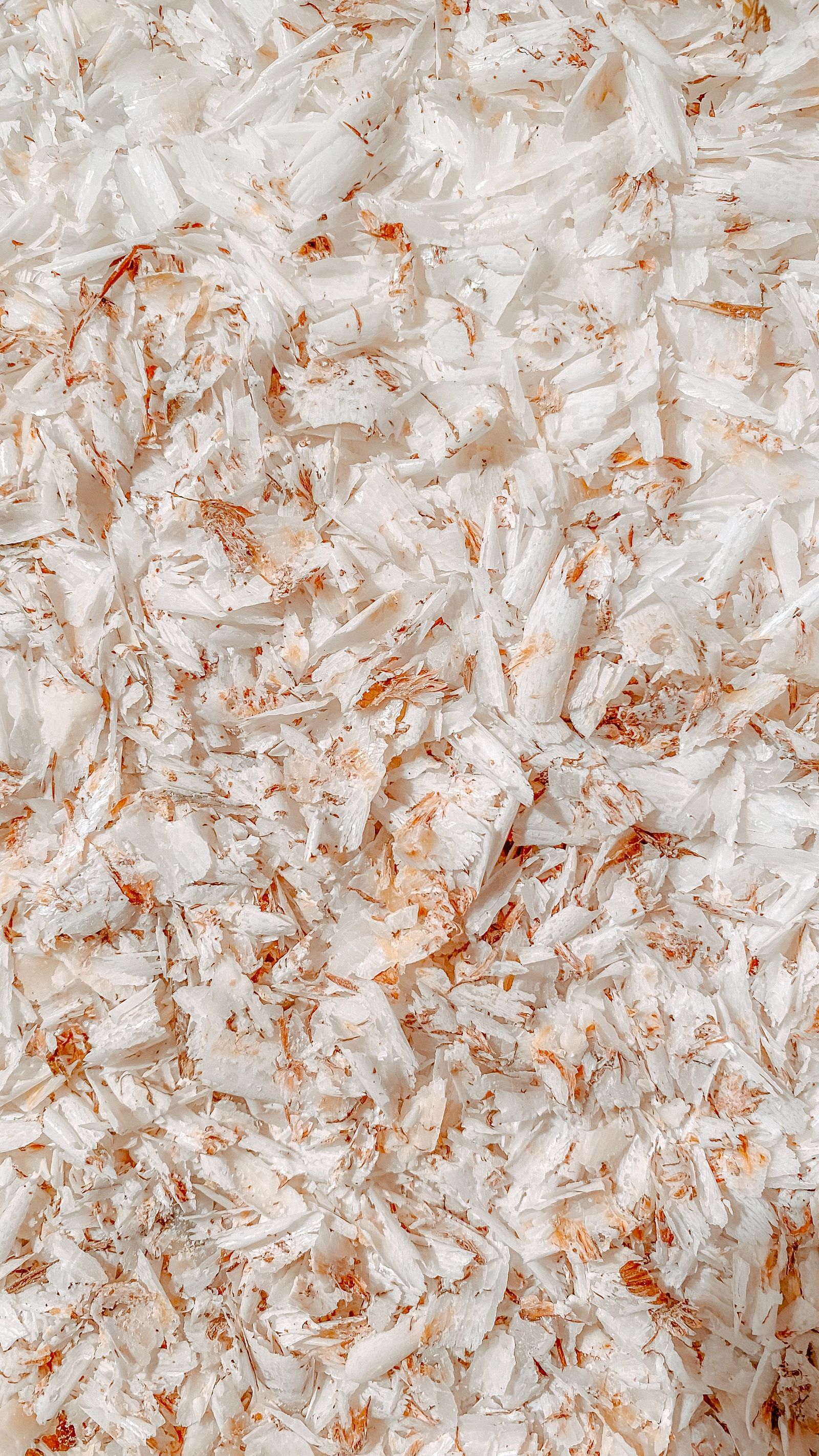 White Void Photos, Download The BEST Free White Void Stock Photos & HD ...