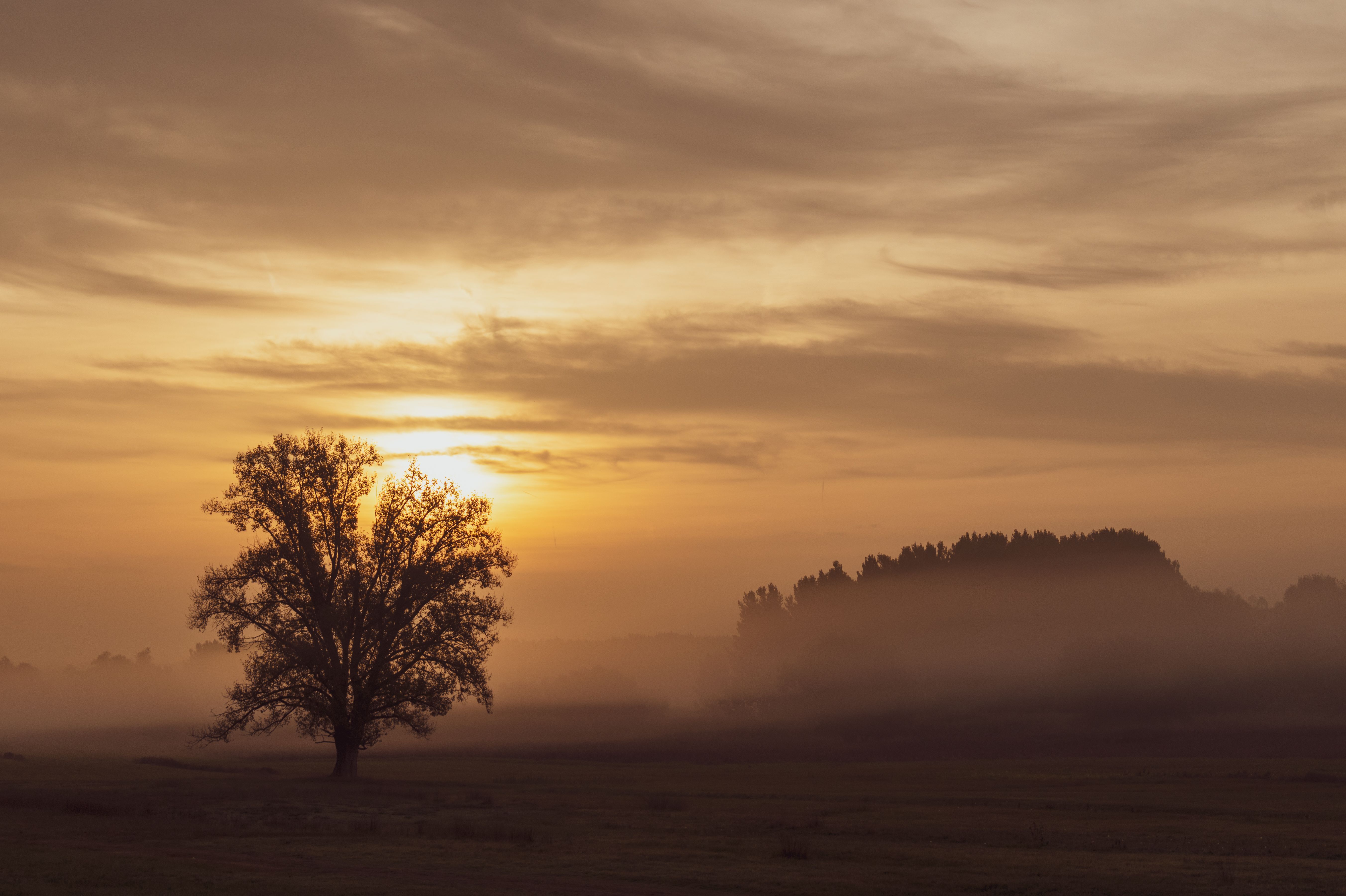 Foggy Sunset Wallpaper