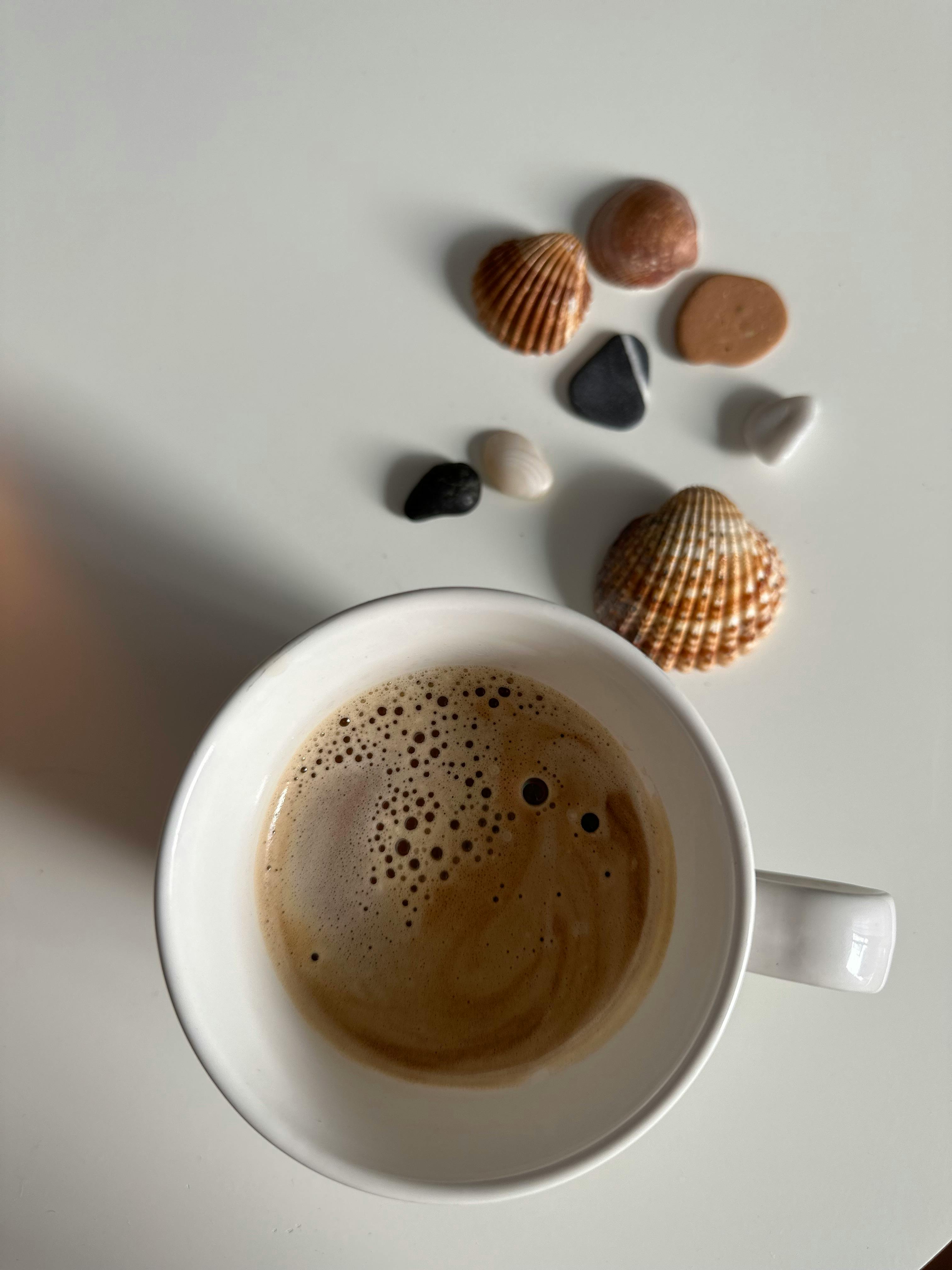 Top View of Coffee, Rocks and Shells · Free Stock Photo
