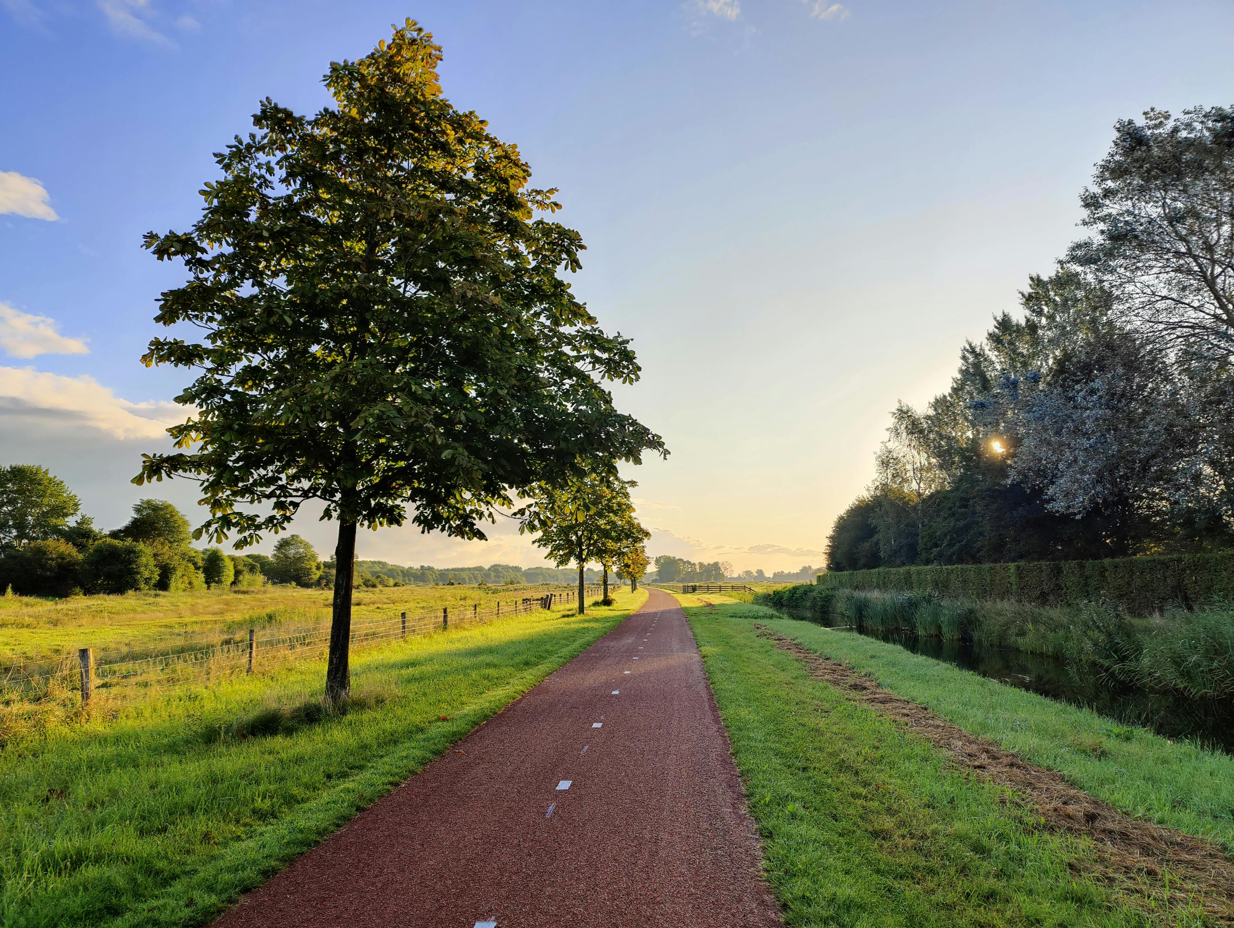 Empty Road in Countryside at Sunset · Free Stock Photo