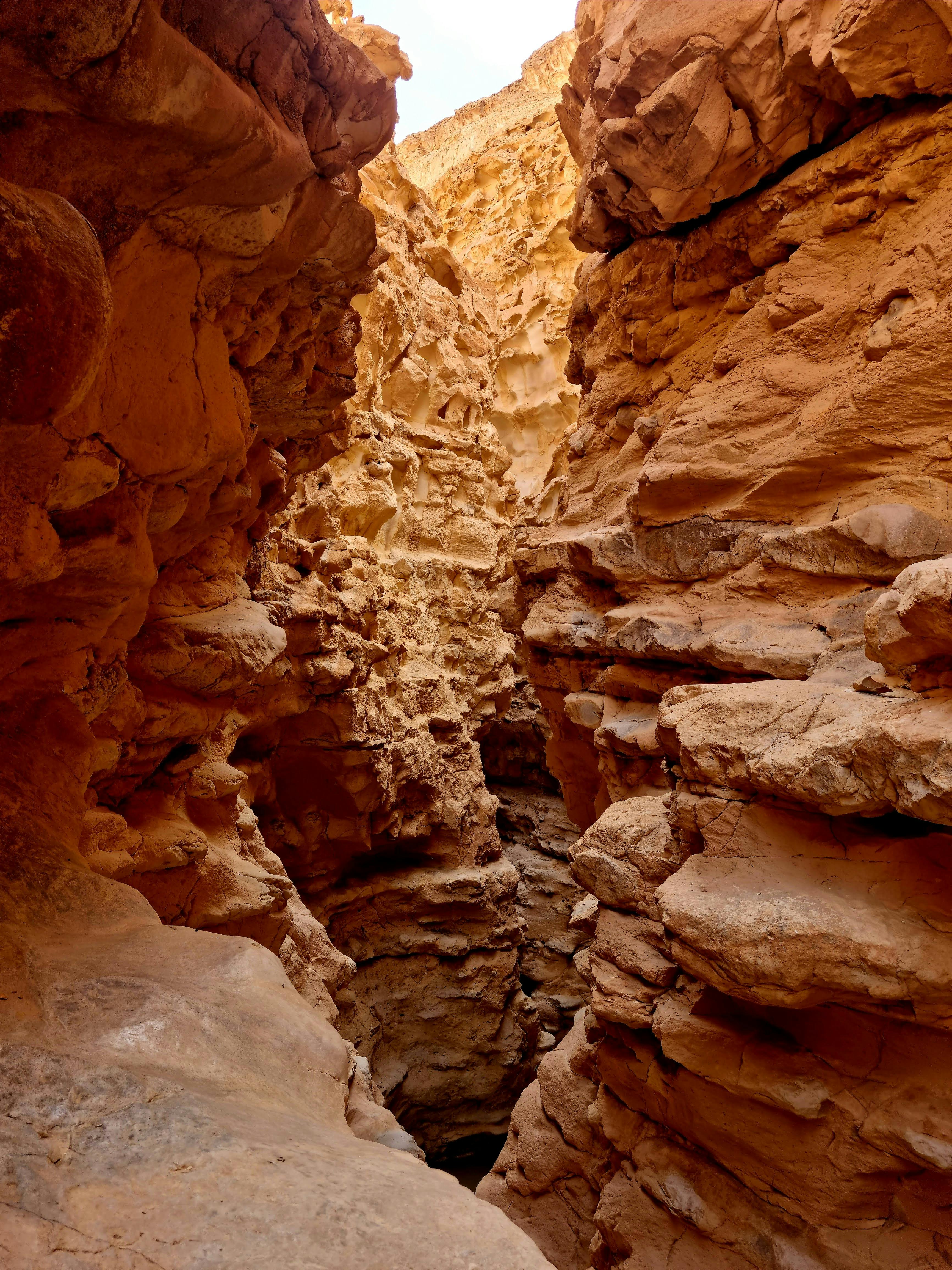 David Lev - Photography