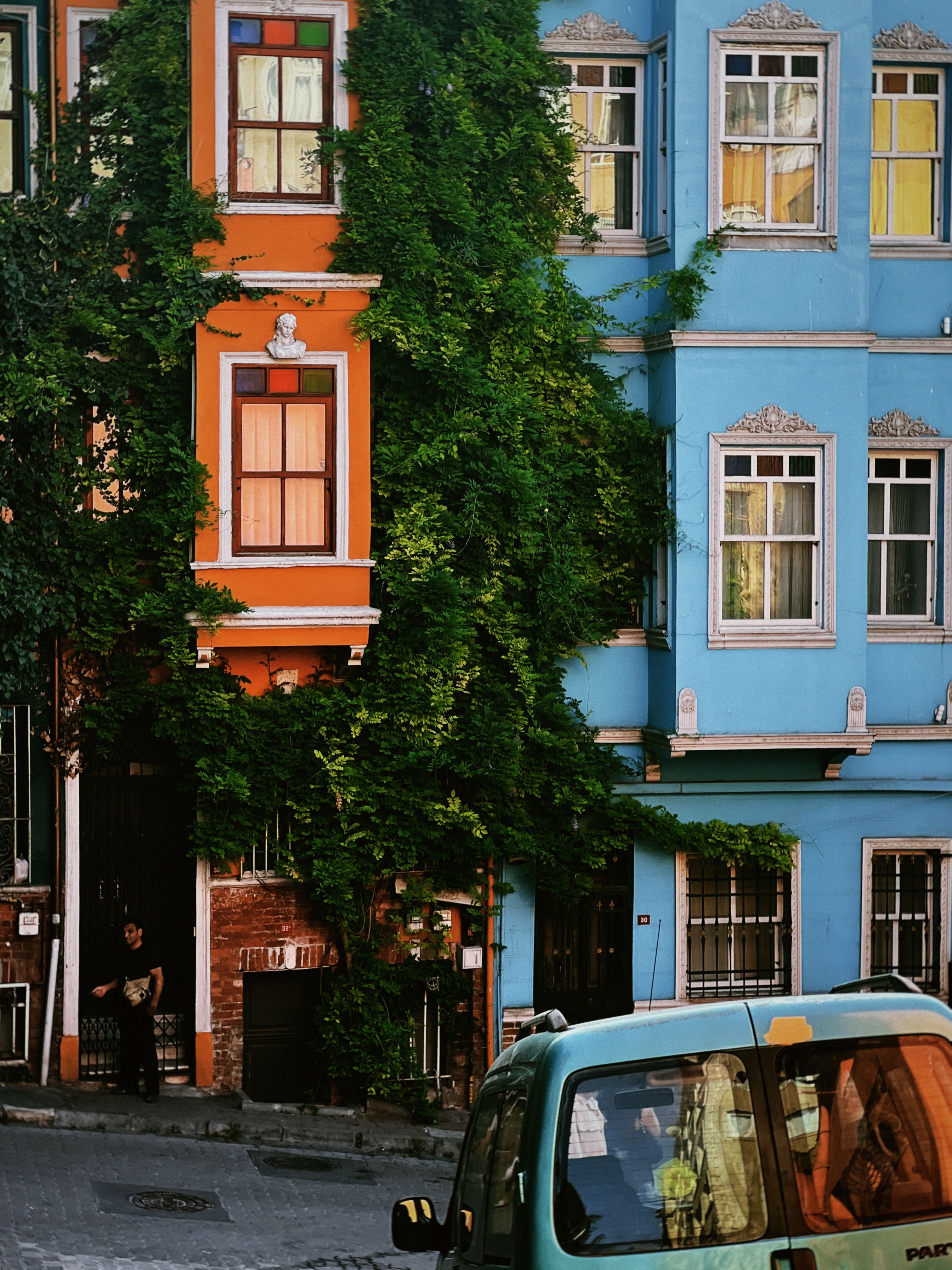 Ivy on Colorful Tenements · Free Stock Photo