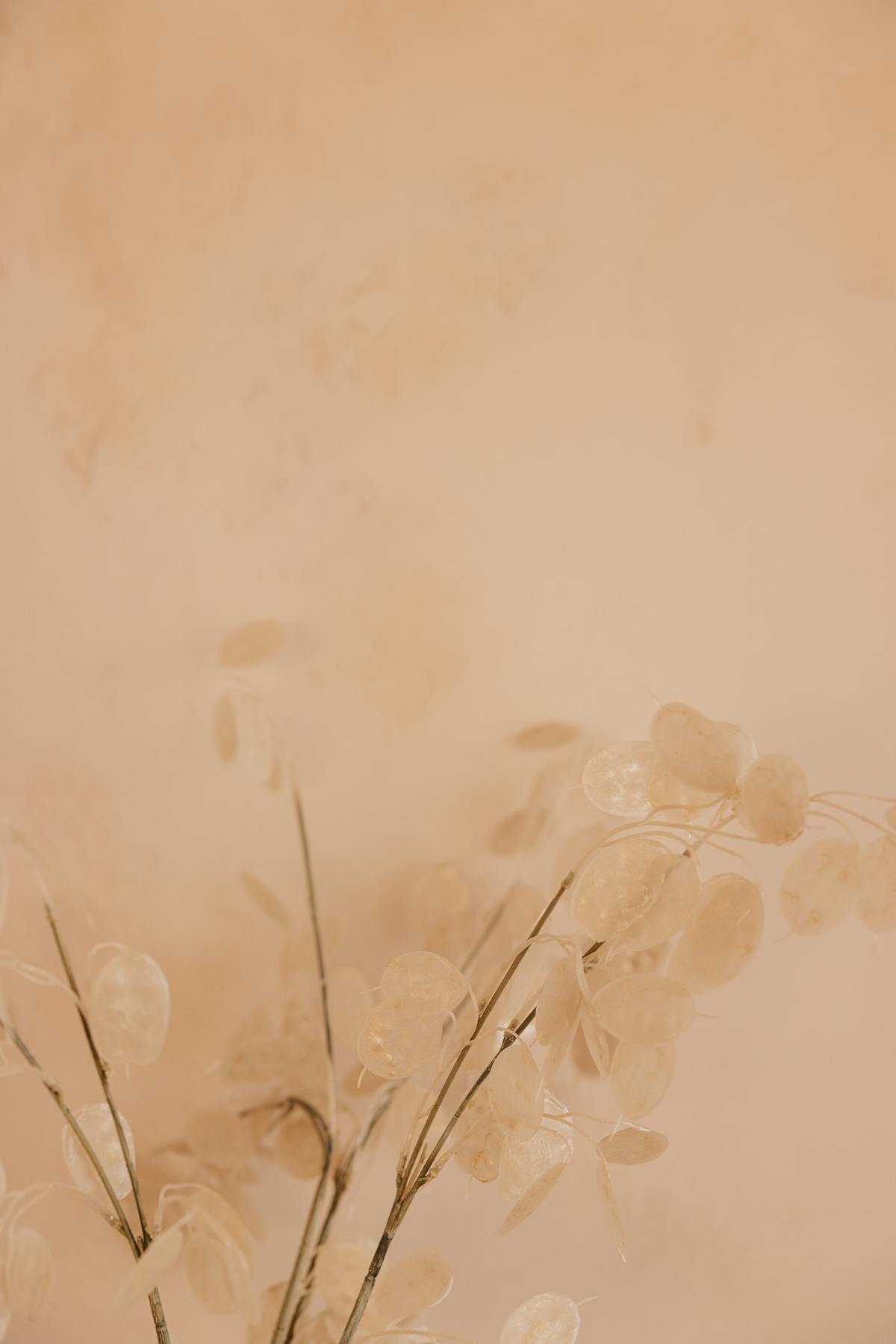 Theme Wallpaper Photos, Download The BEST Free Theme Wallpaper Stock ...