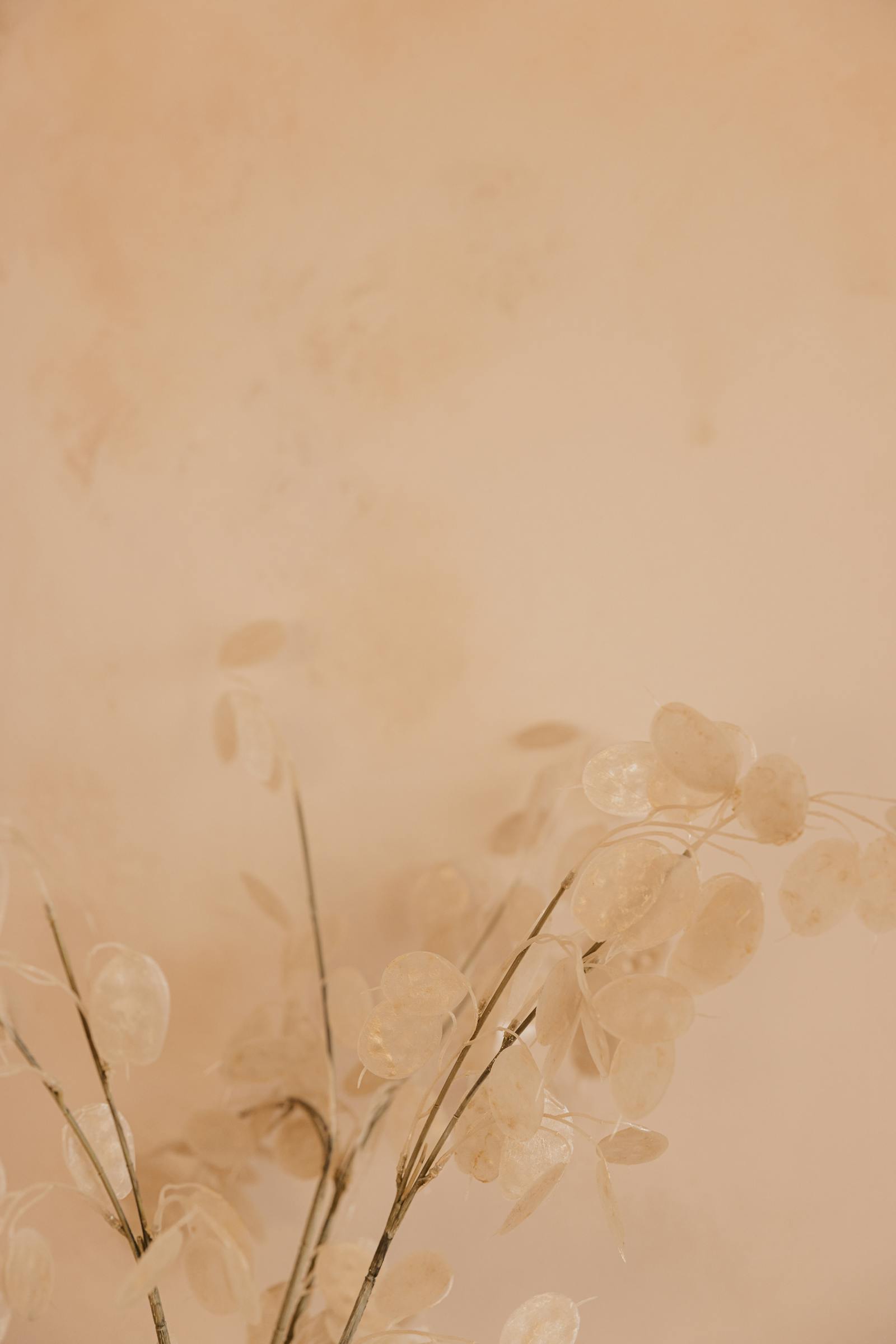 Japanese Theme Wallpaper Photos, Download The BEST Free Japanese Theme ...