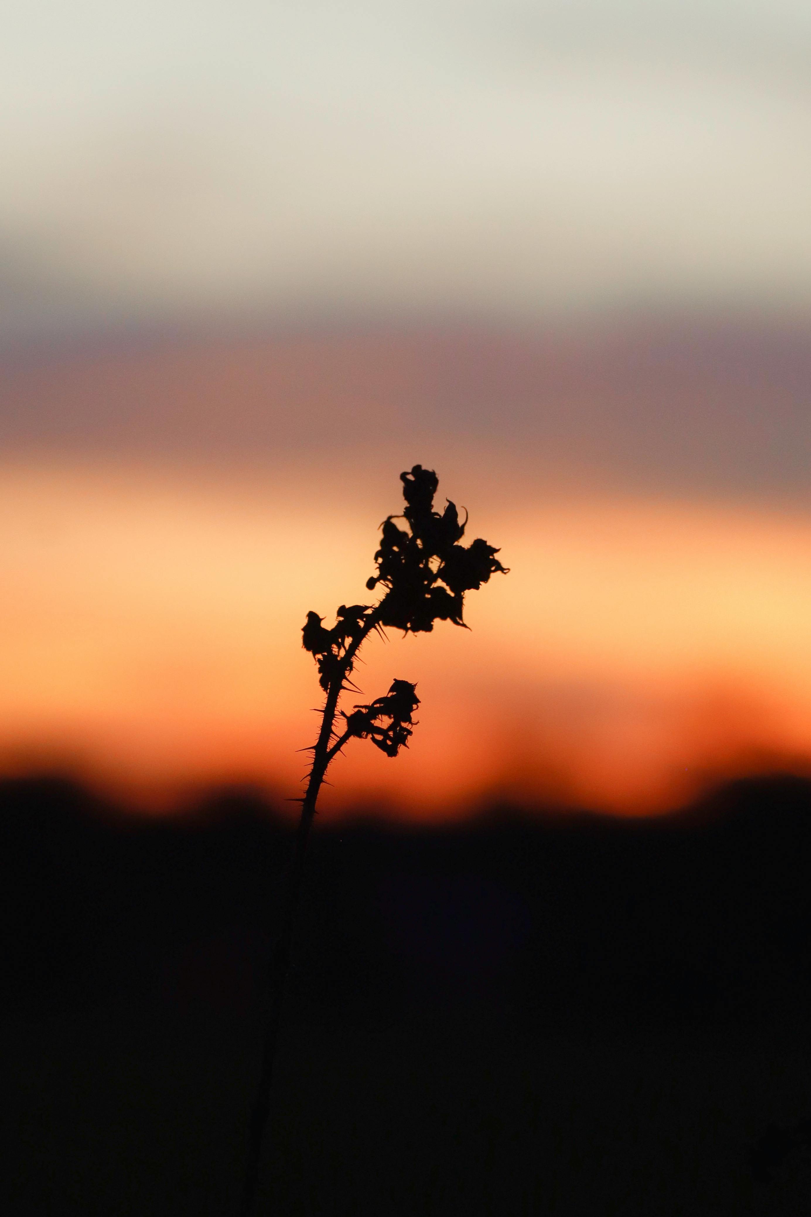 Oliver Morgan Media - Photography