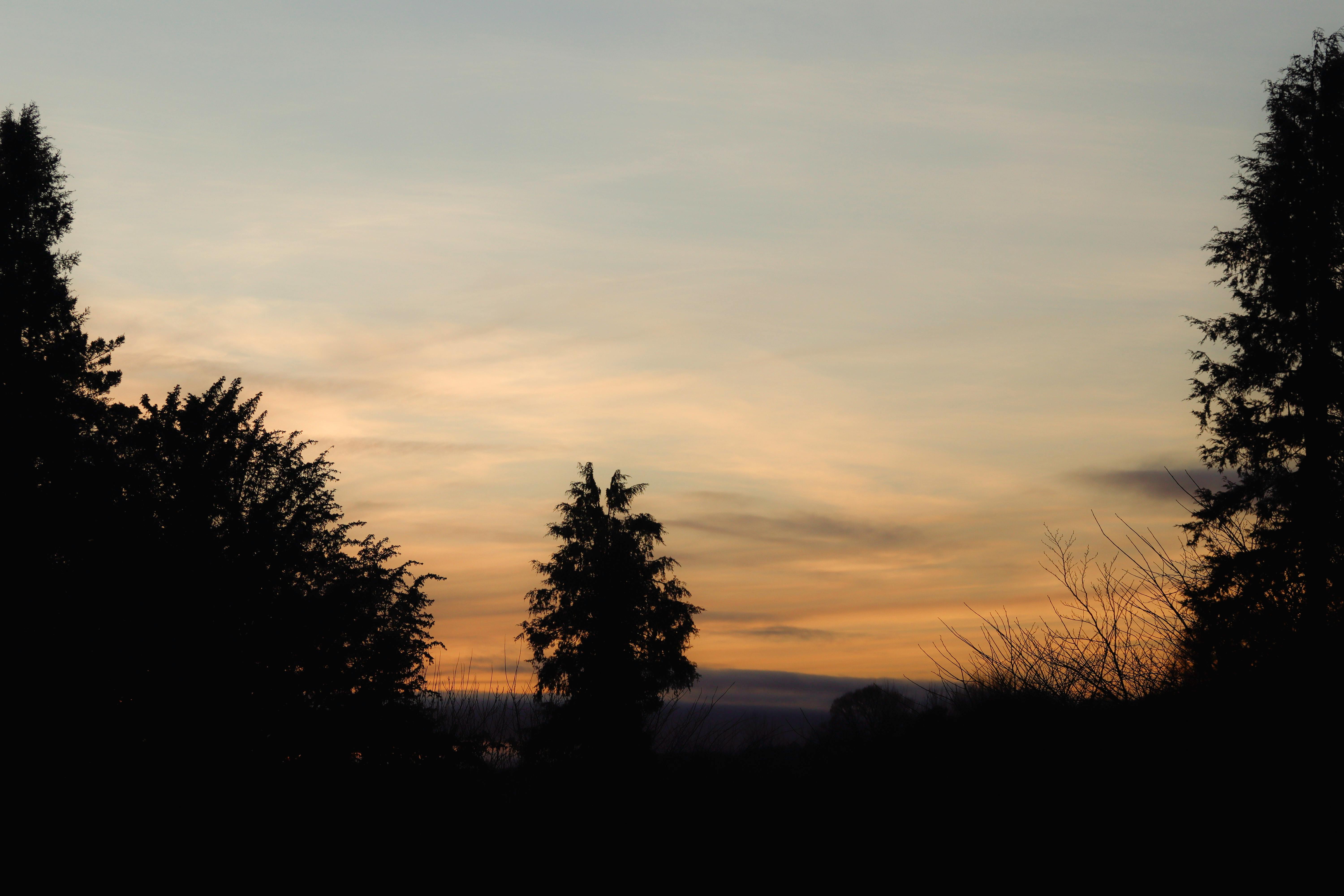 Oliver Morgan Media - Photography