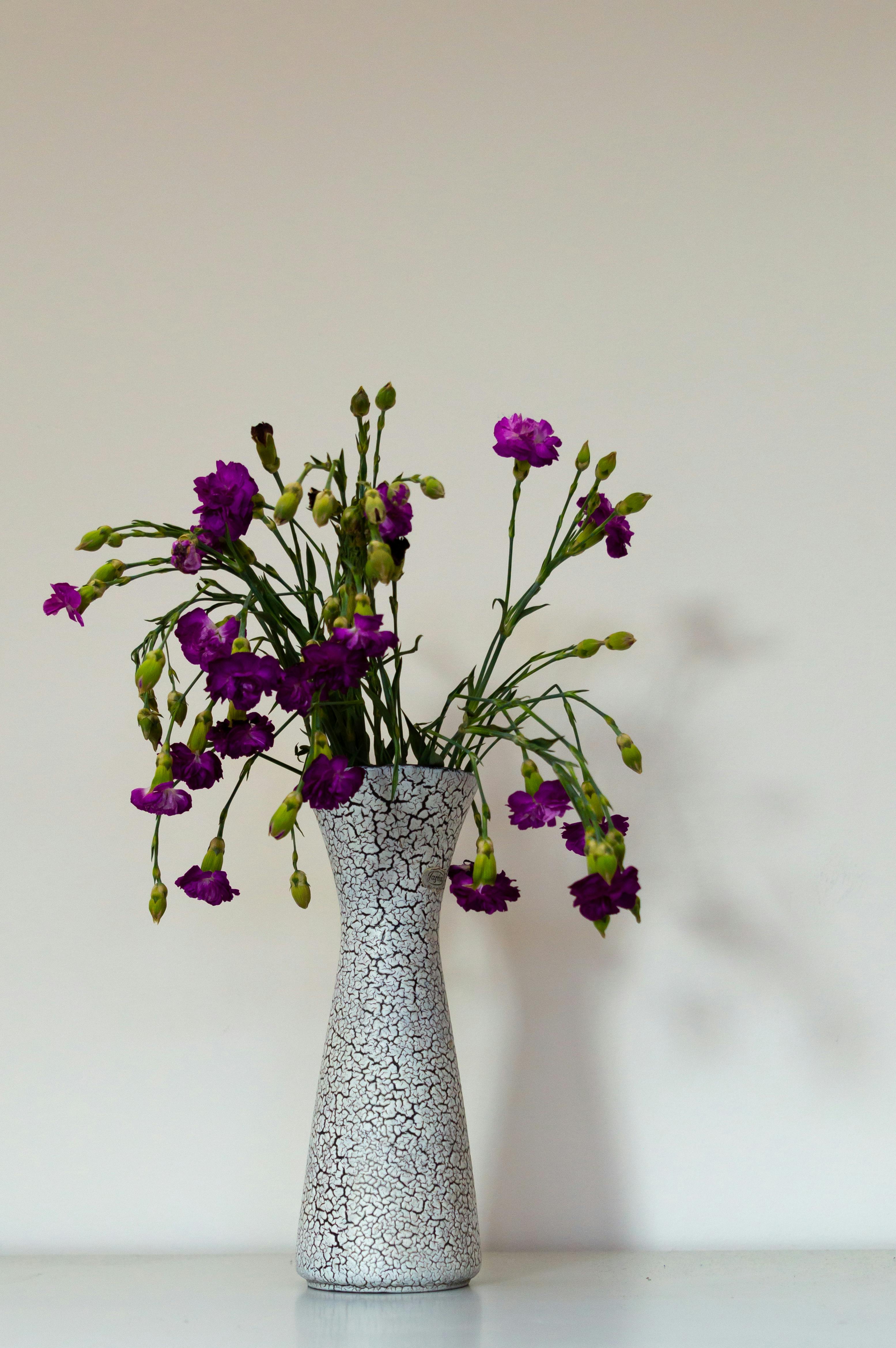 Purple Flowers in Vase · Free Stock Photo
