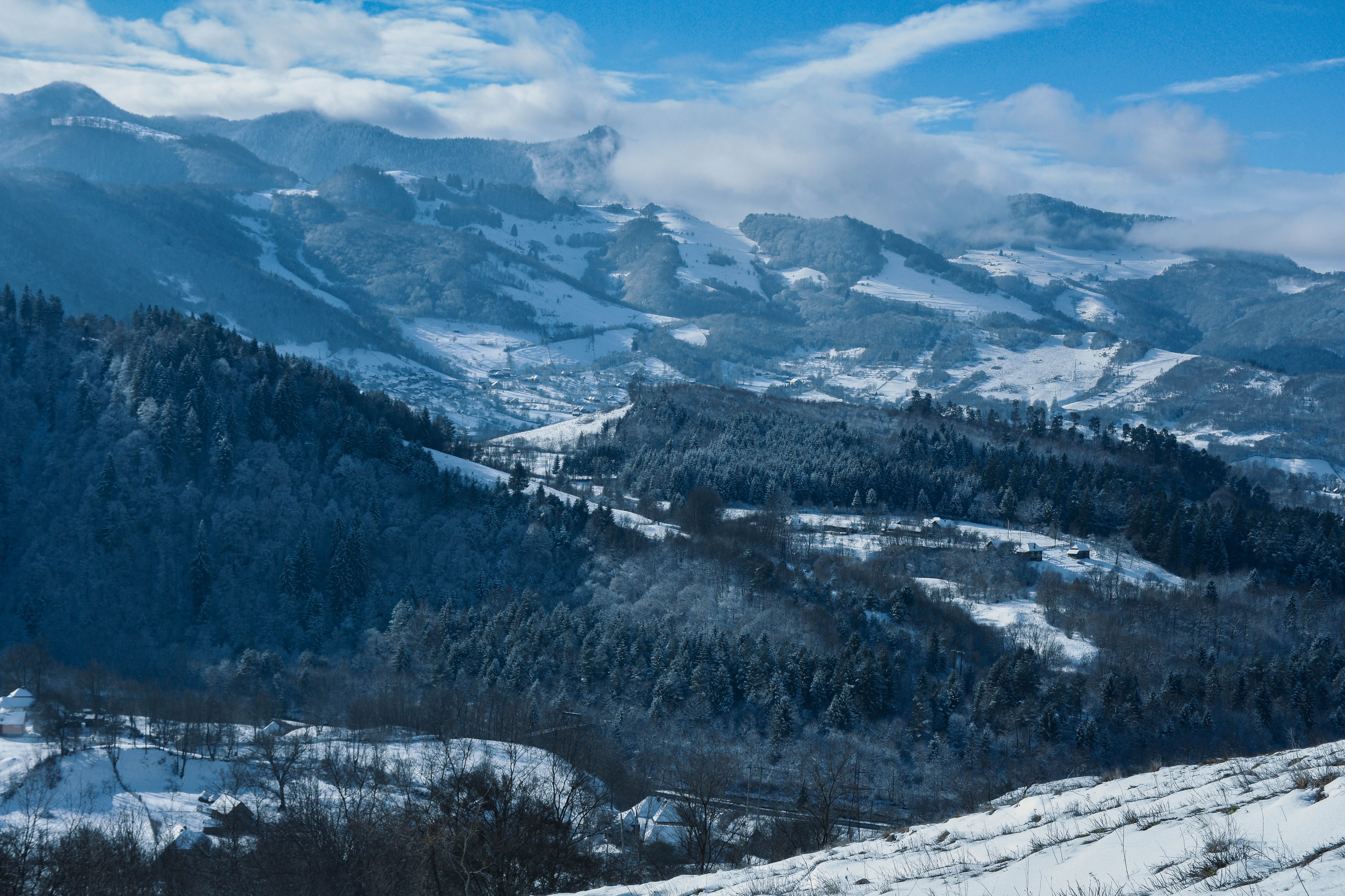 Snowfall · Free Stock Photo