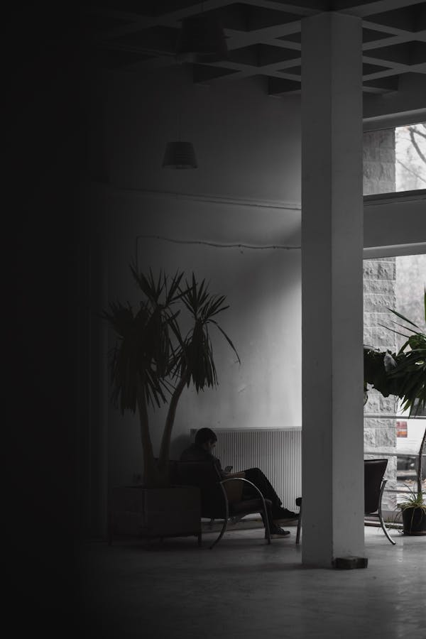 Dark Ba Photos, Download The BEST Free Dark Ba Stock Photos & HD Images