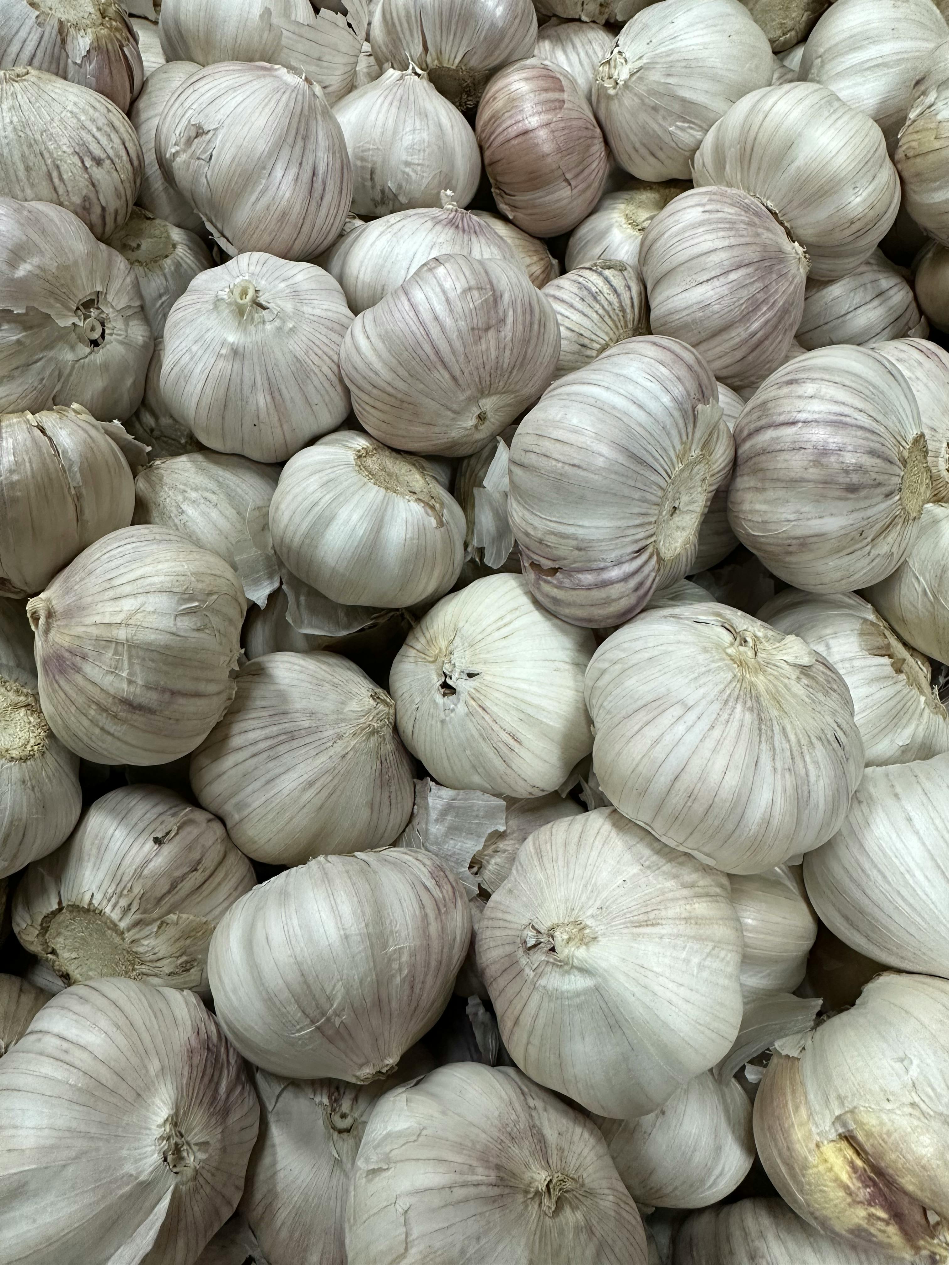 Stack of Garlic Bulbs · Free Stock Photo