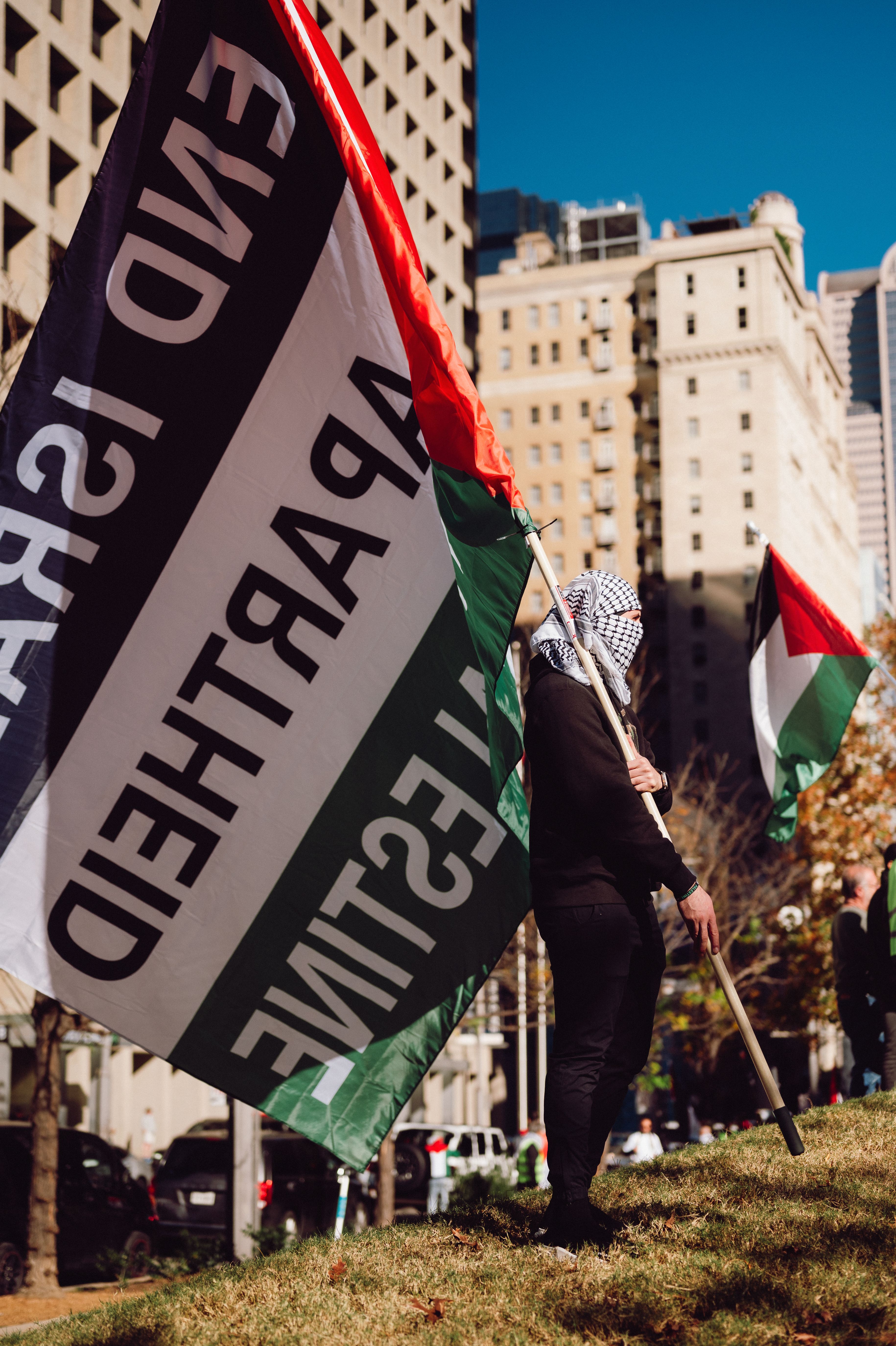 Person Holding a Flag · Free Stock Photo