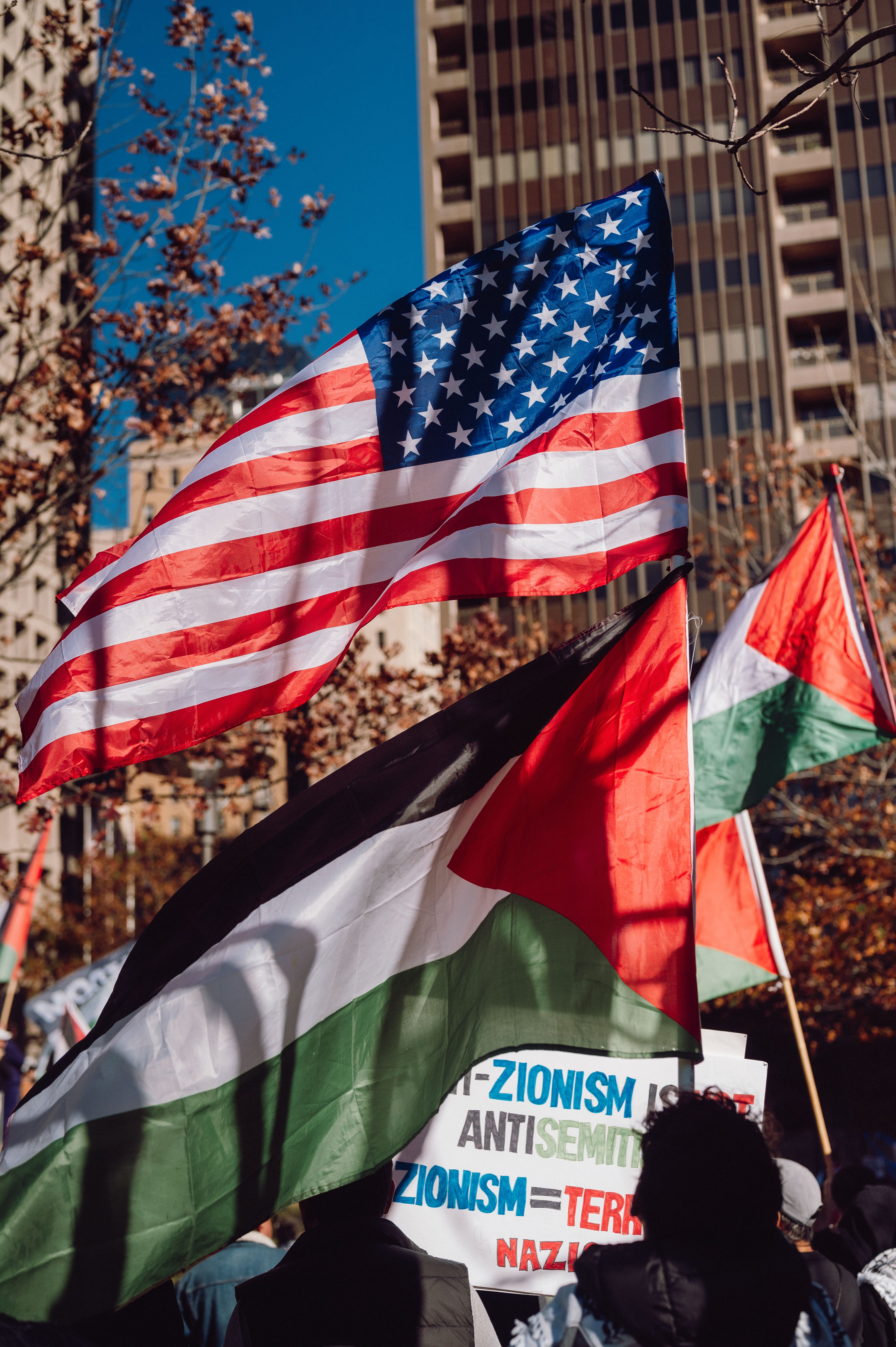 Flags of USA and Palestine Flying at Rally · Free Stock Photo