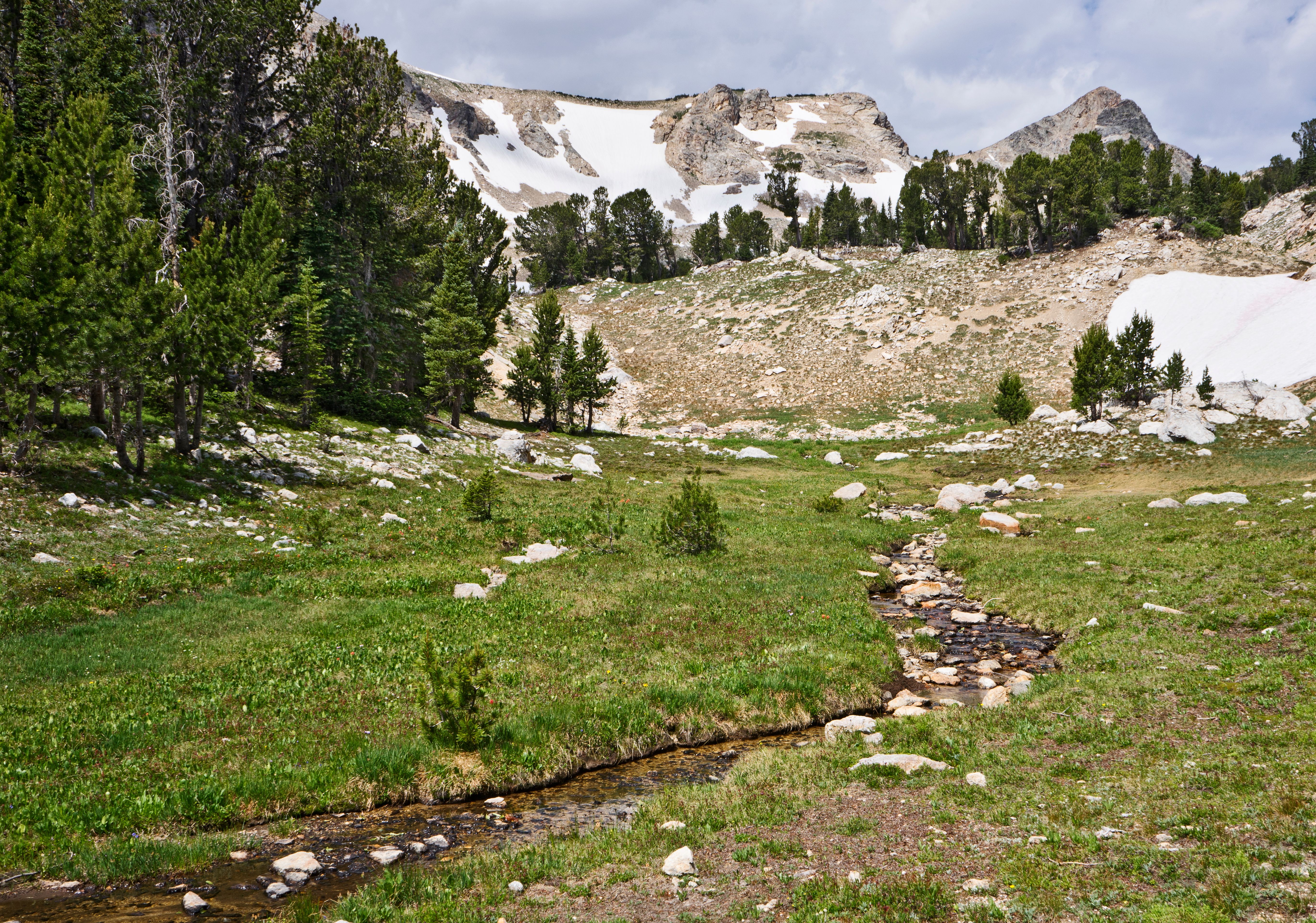 Stream on Grassland with Mountain behind · Free Stock Photo