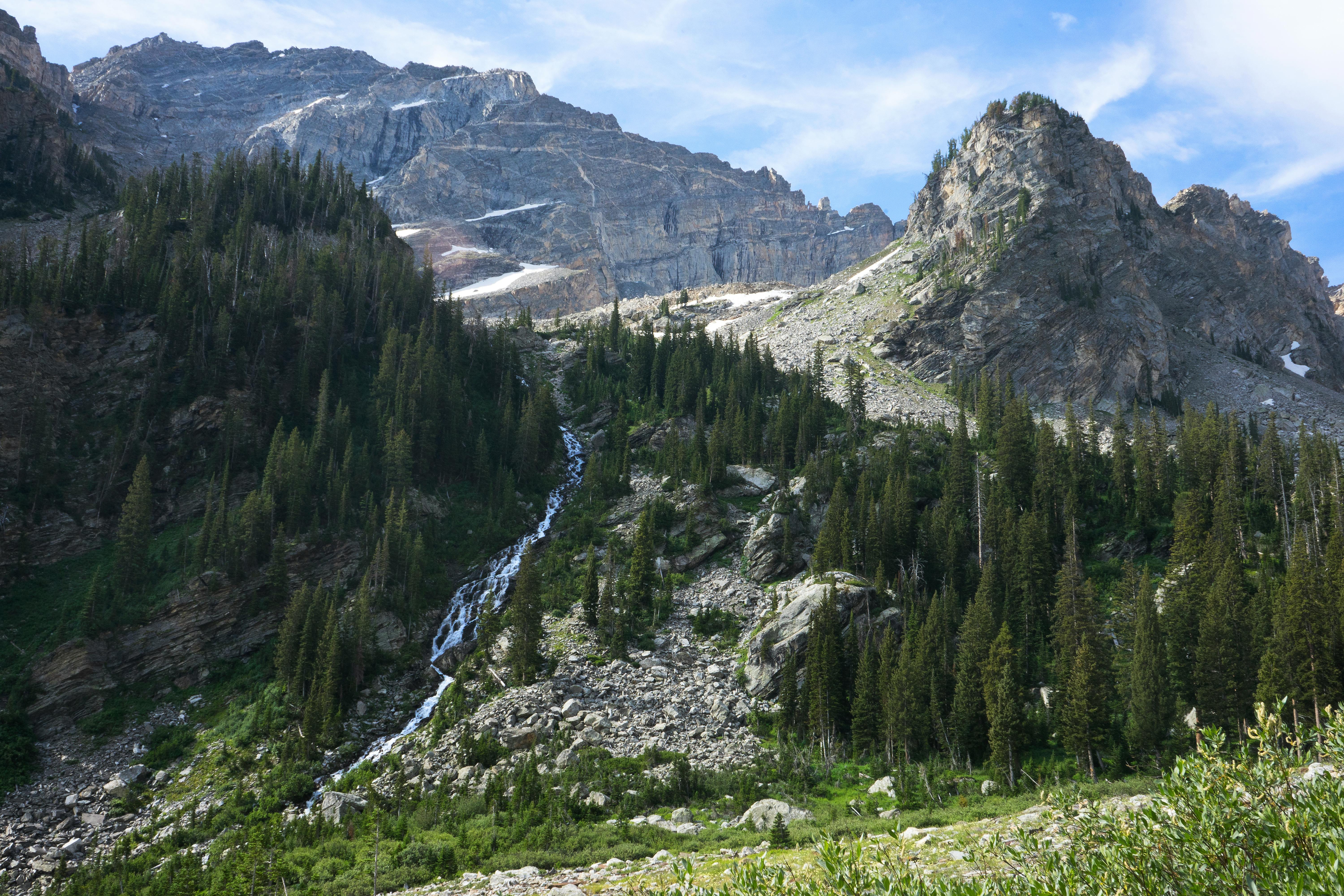 Trees in Valley and in Mountains · Free Stock Photo