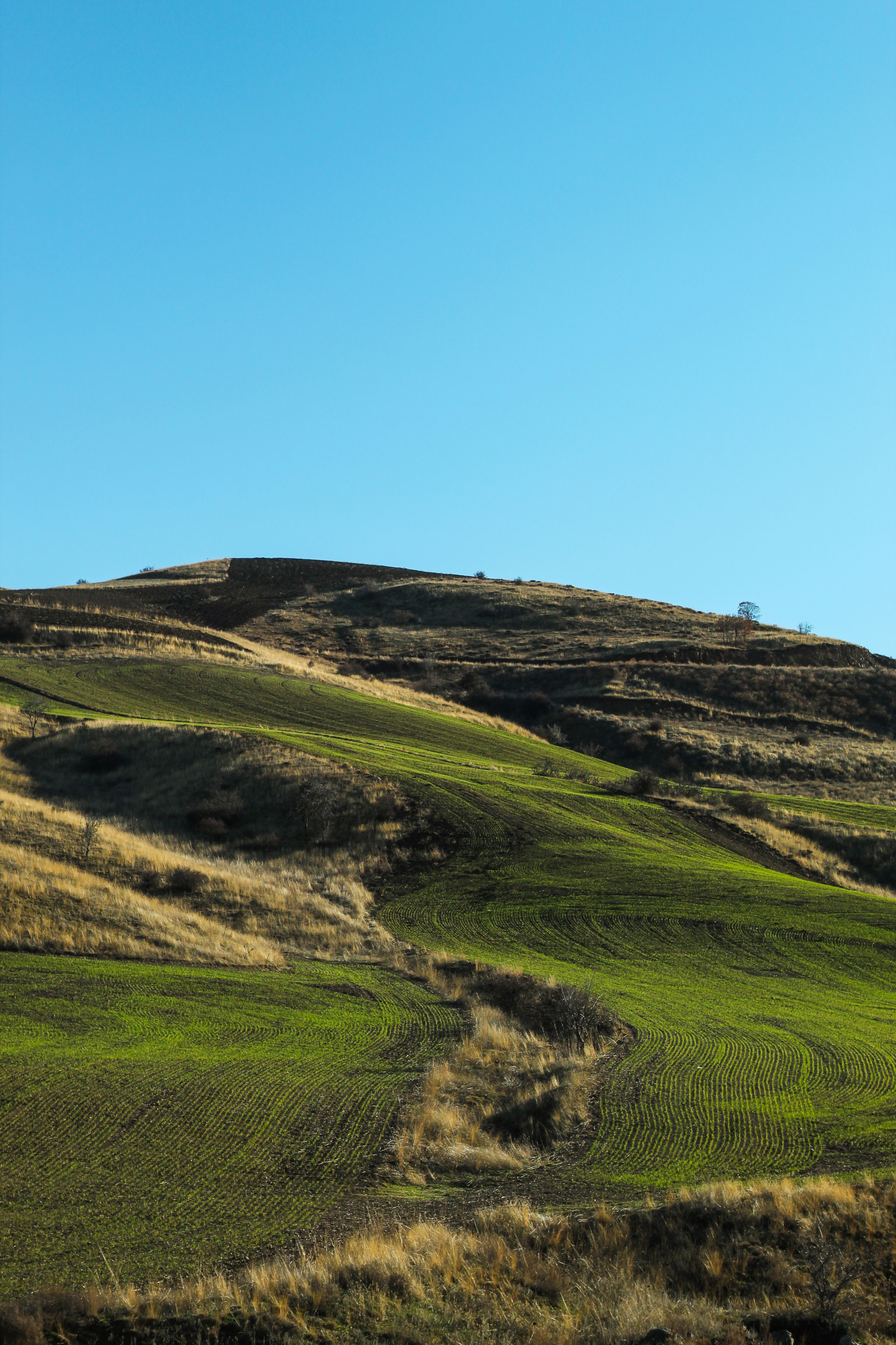 Field on Hillside in Countryside · Free Stock Photo