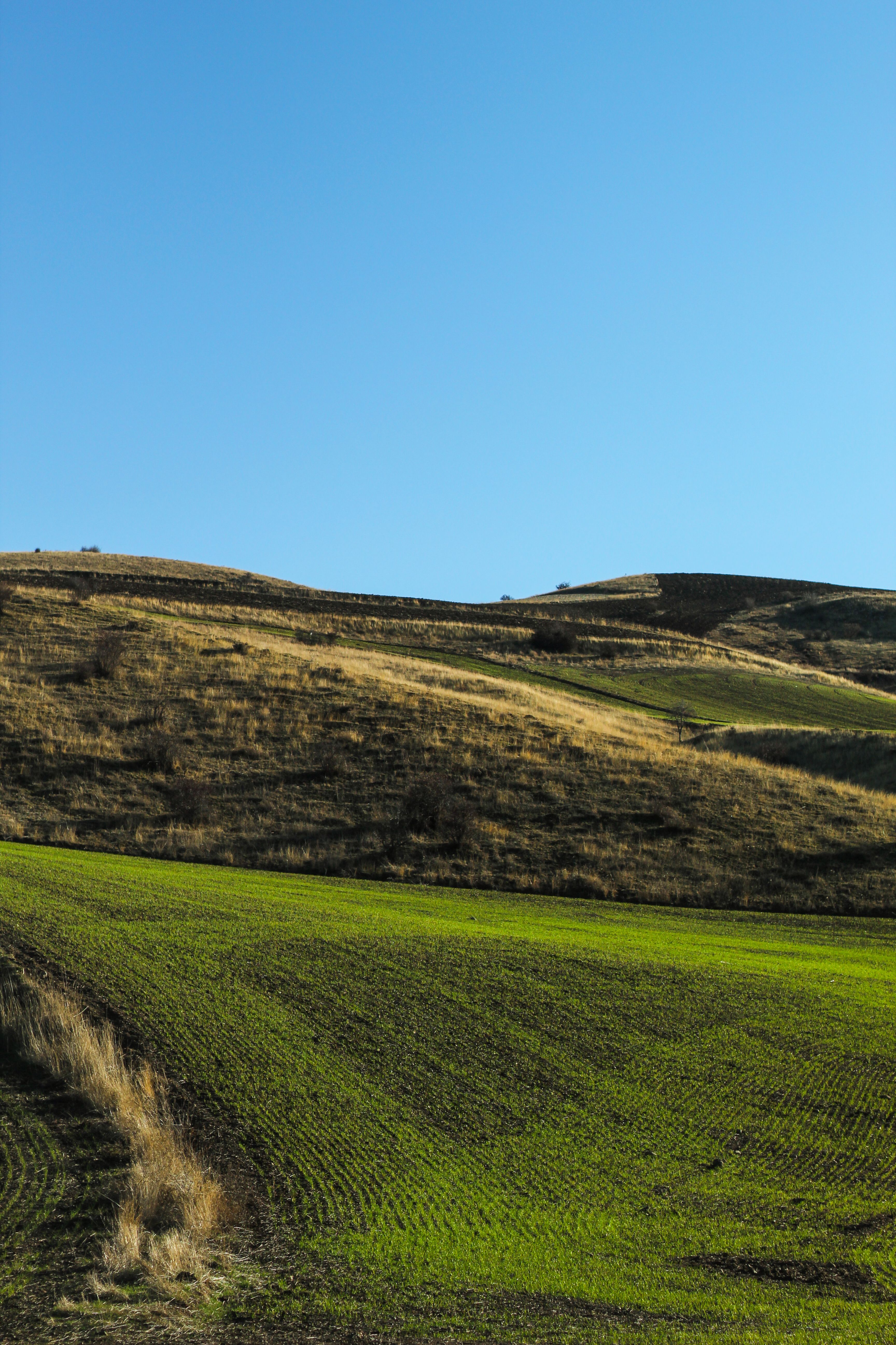 Field and Hillside in Countryside · Free Stock Photo