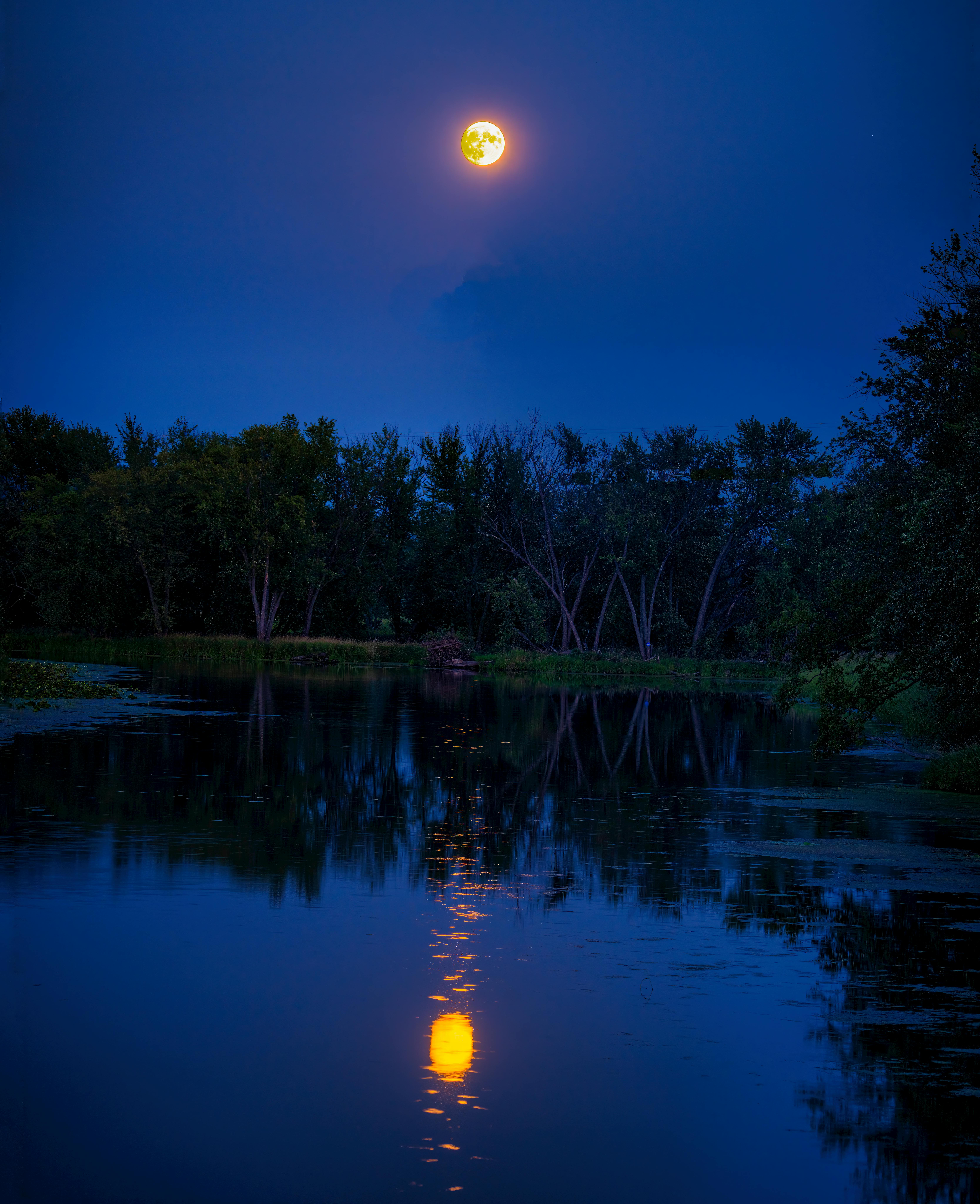 A Lake at Night · Free Stock Photo