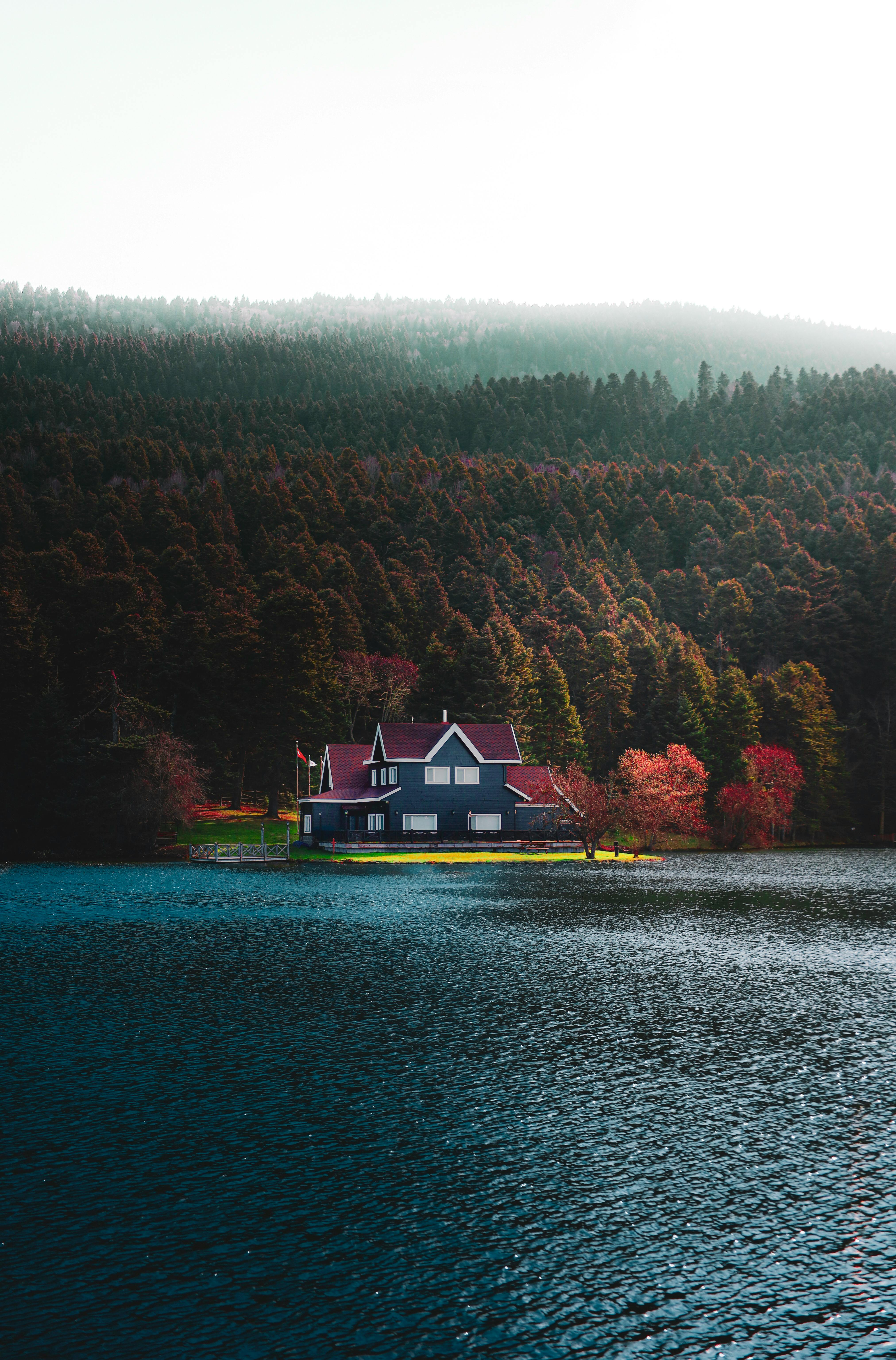 Foto de stock gratuita sobre a orillas del lago, actuación en vivo ...