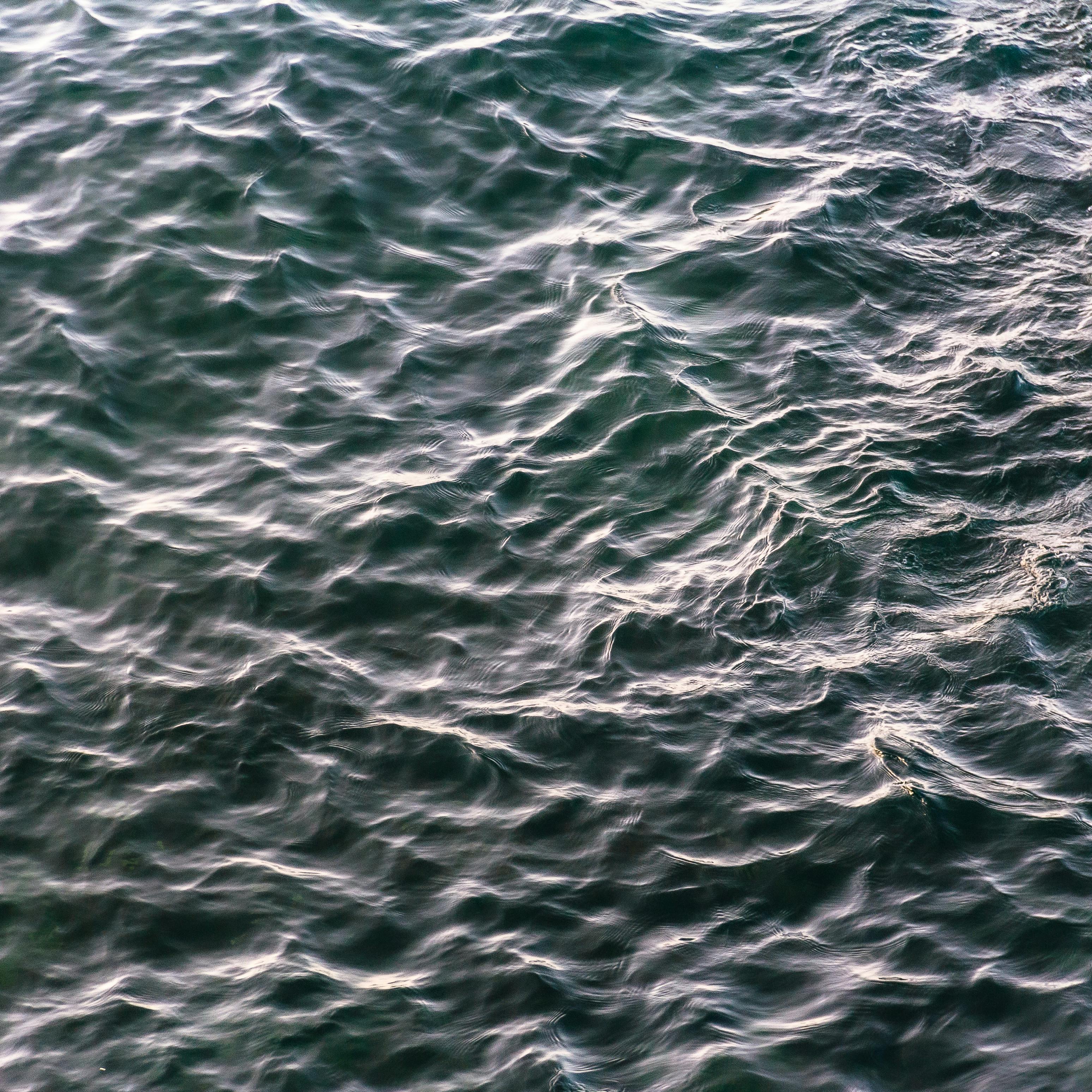 Water Ripple · Free Stock Photo