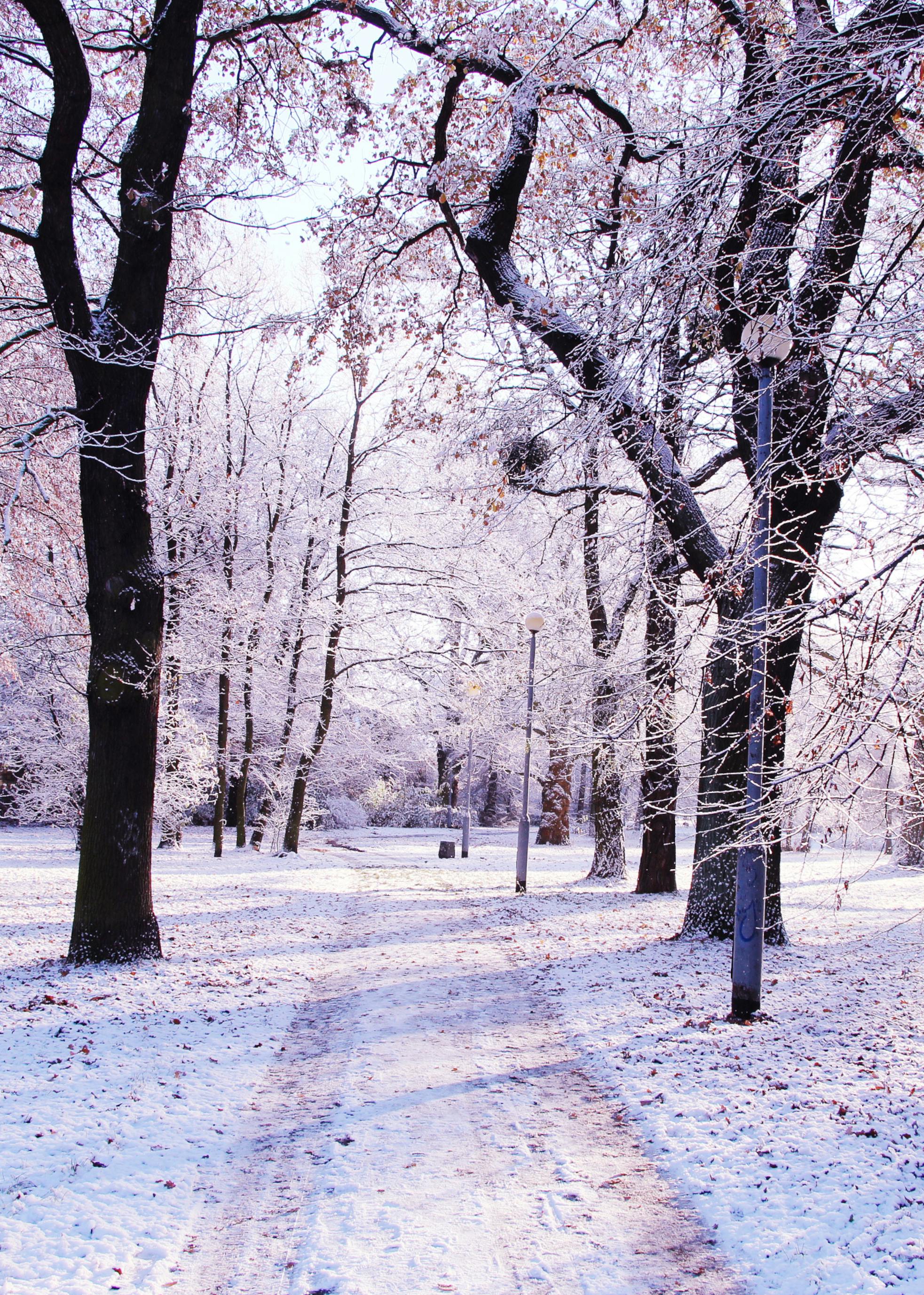 Byu–Pathway Photos, Download The BEST Free Byu–Pathway Stock Photos ...