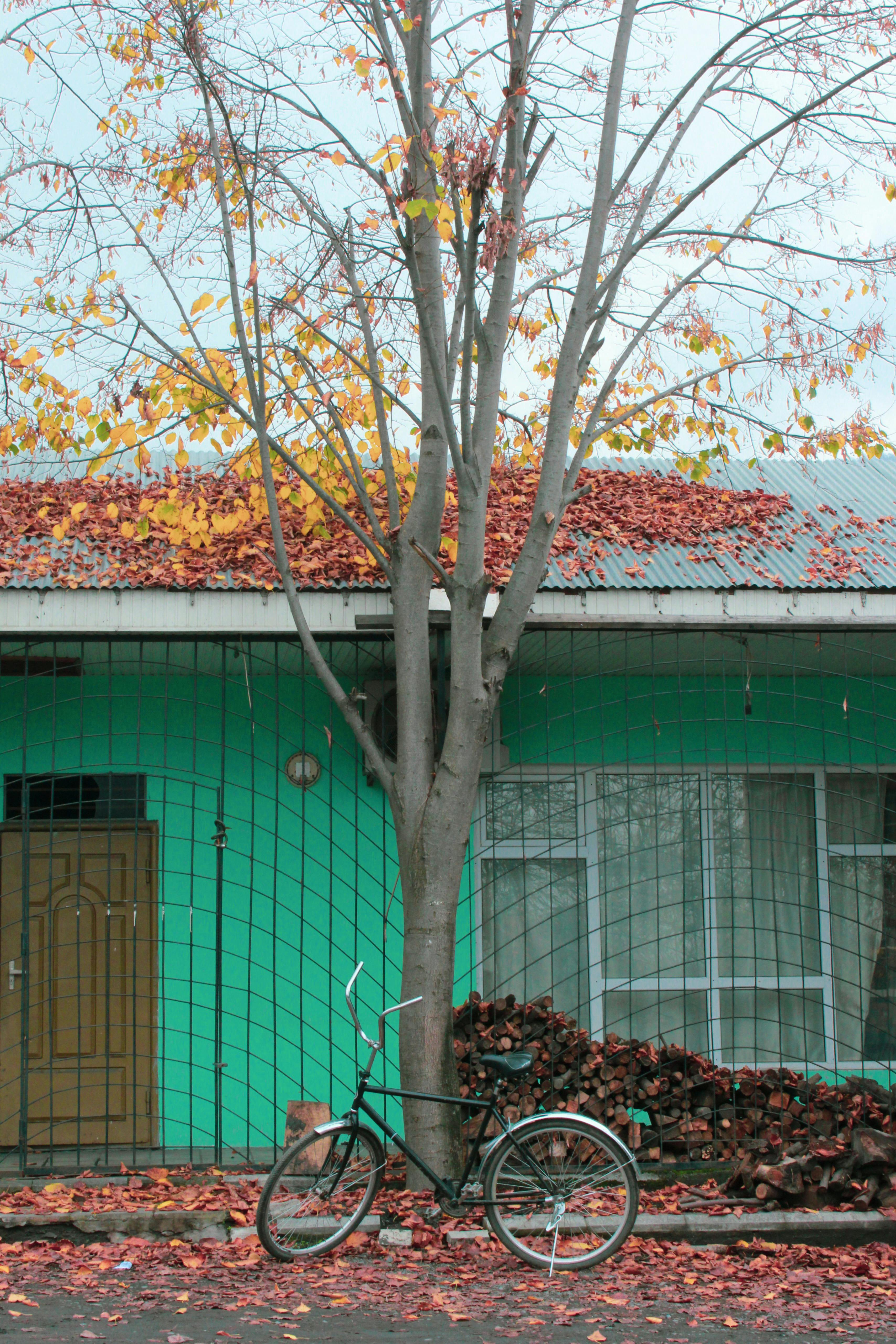 Autumn Tree near House · Free Stock Photo