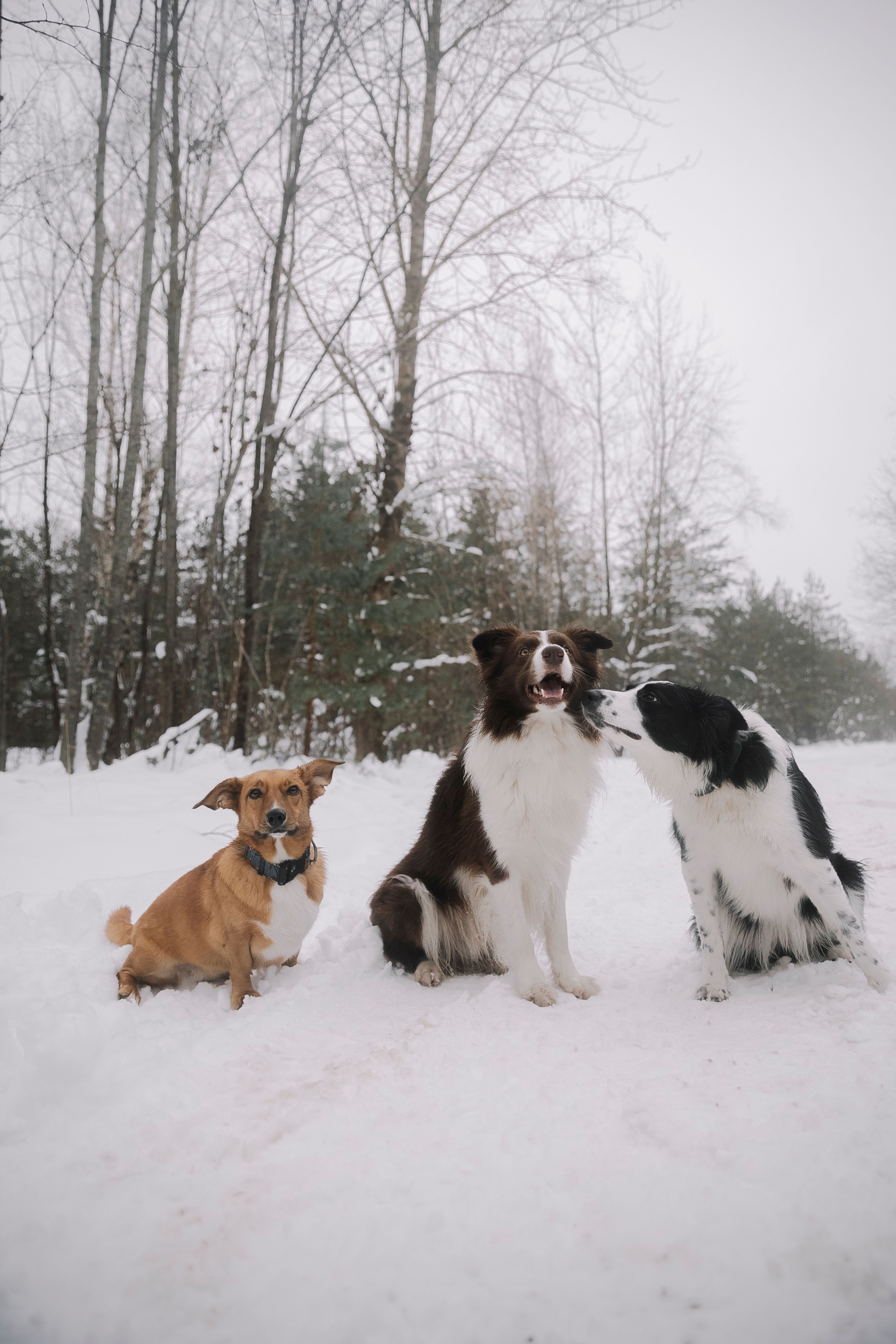 Animer Photos, Download The BEST Free Animer Stock Photos & HD Images