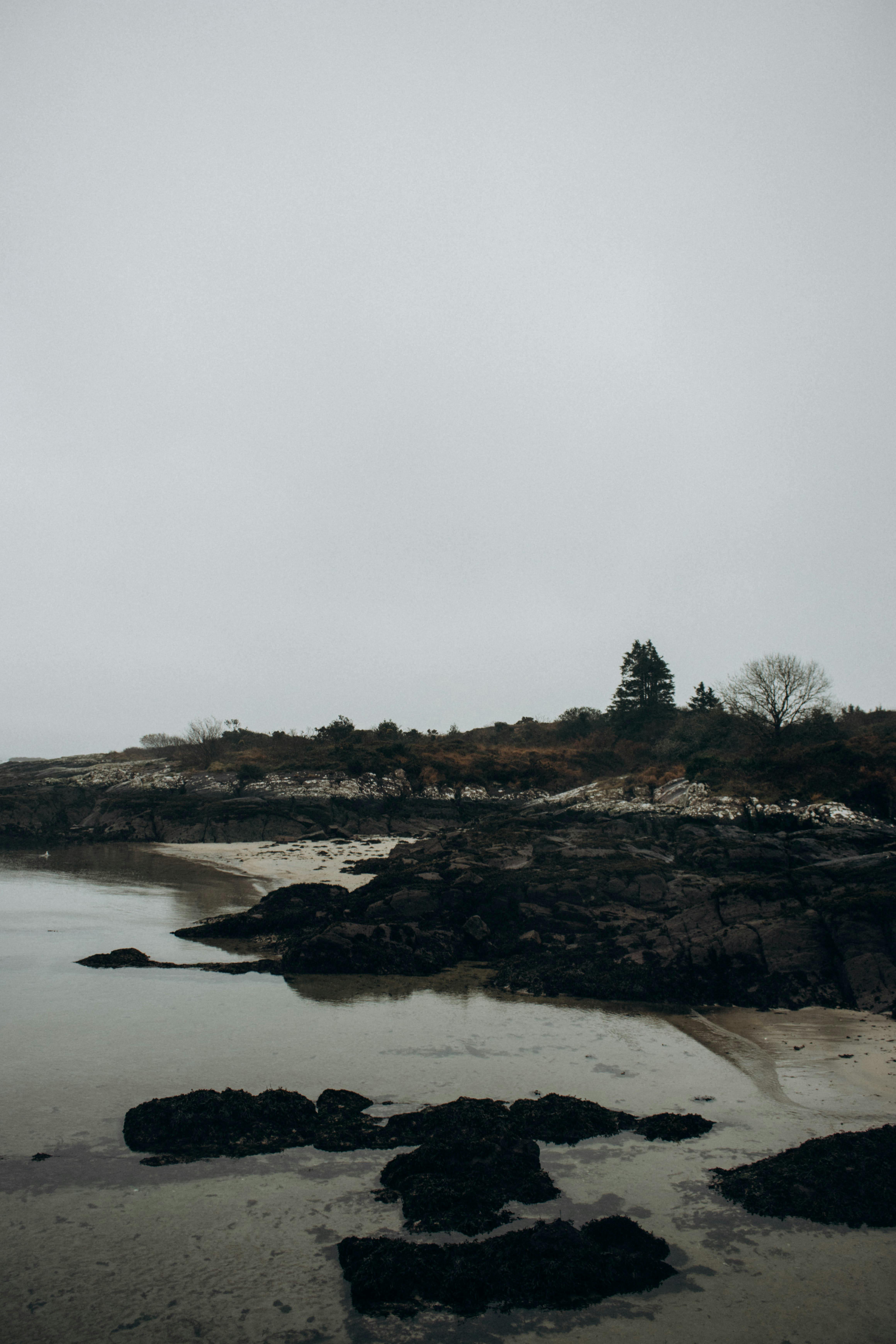 Dark Rocks on Beach at Dawn · Free Stock Photo