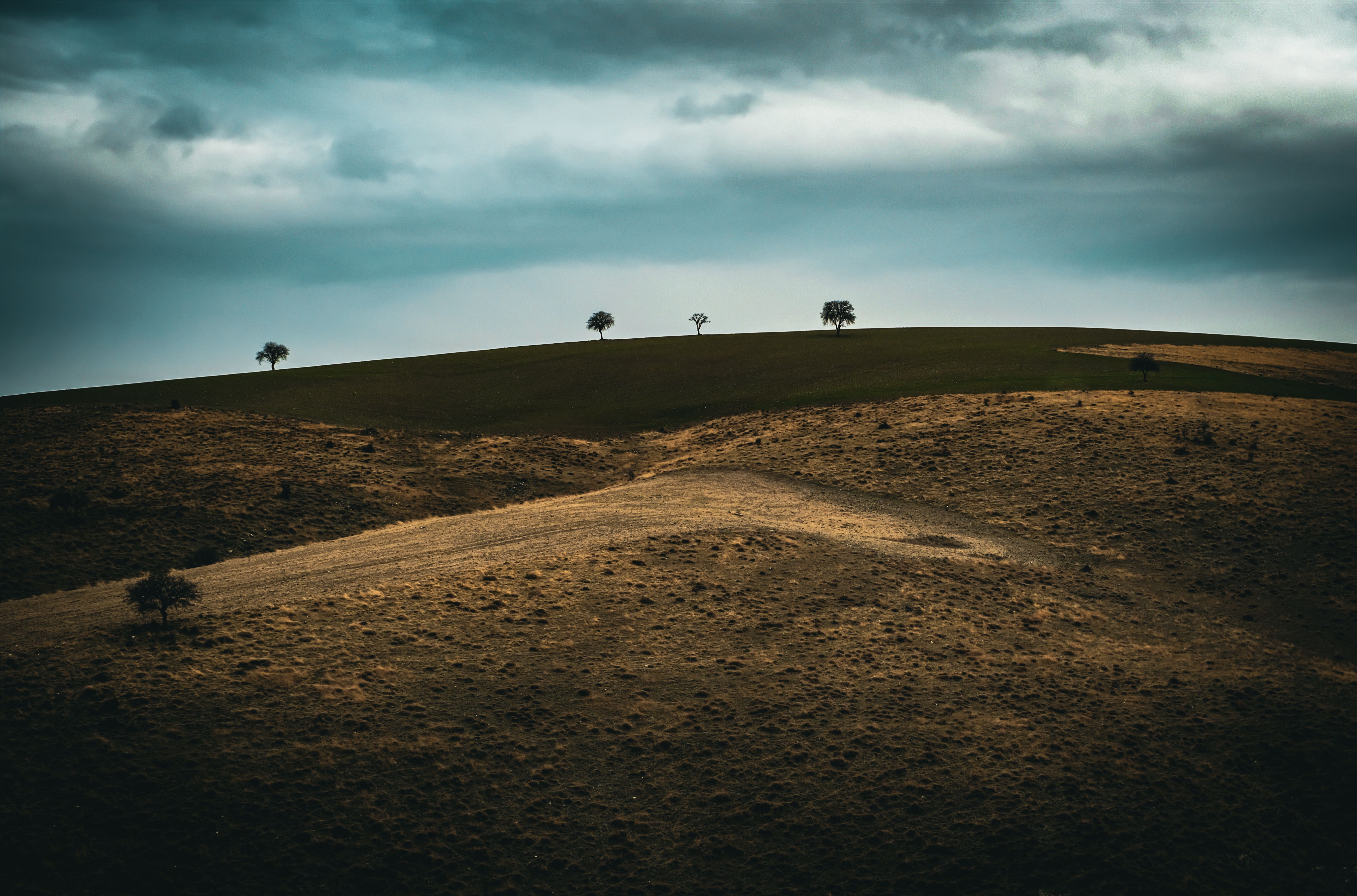 Rural Landscape with Trees on a Hill under an Overcast Sky · Free Stock ...